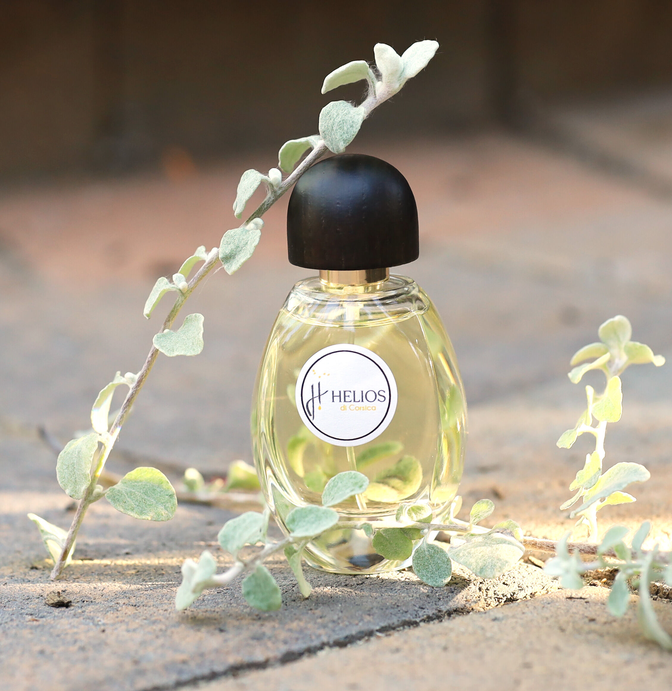 Helios di Corsica Helios di Corsica perfume - a fragrance for women and men