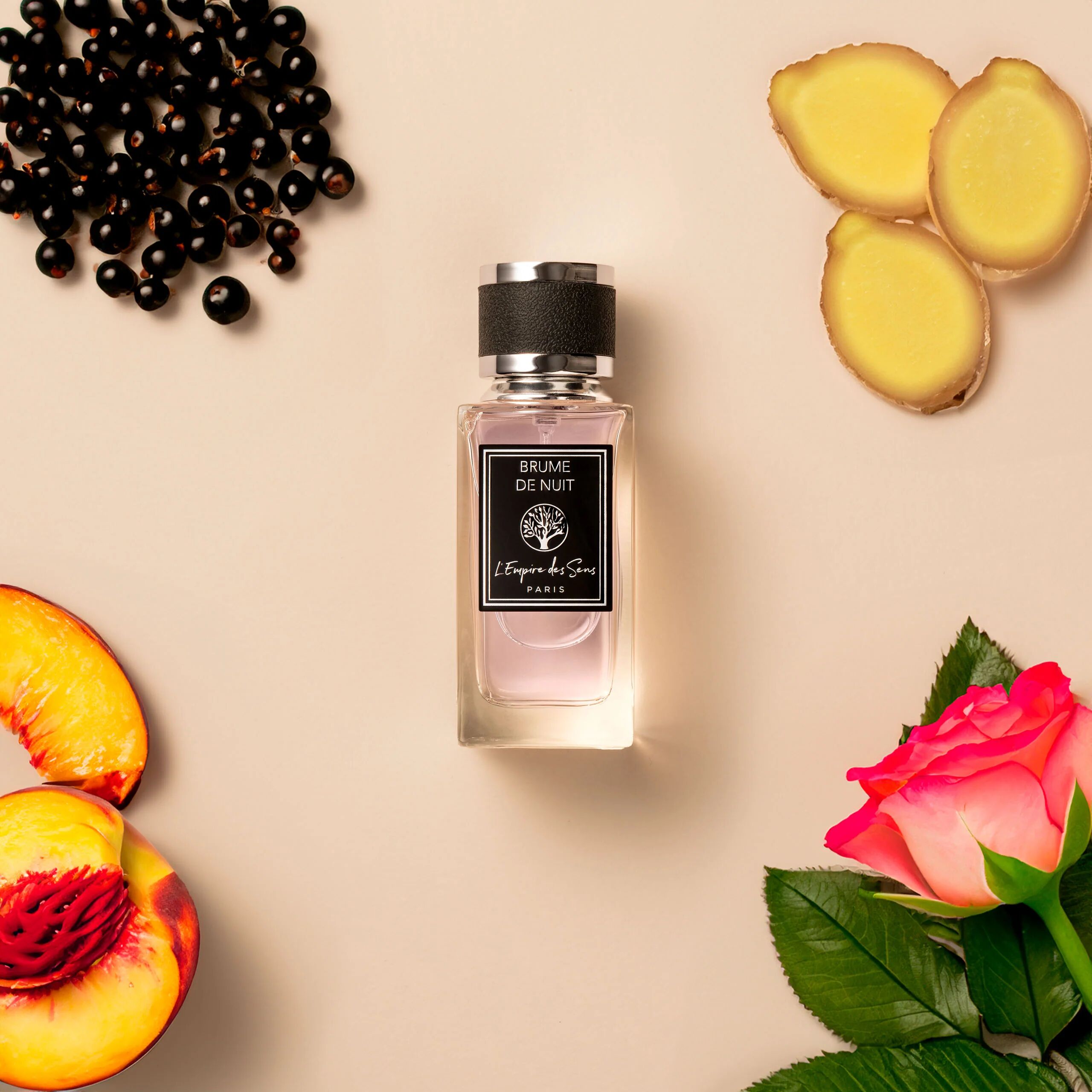 Brume de Nuit L'Empire des Sens perfume - a new fragrance for women and ...