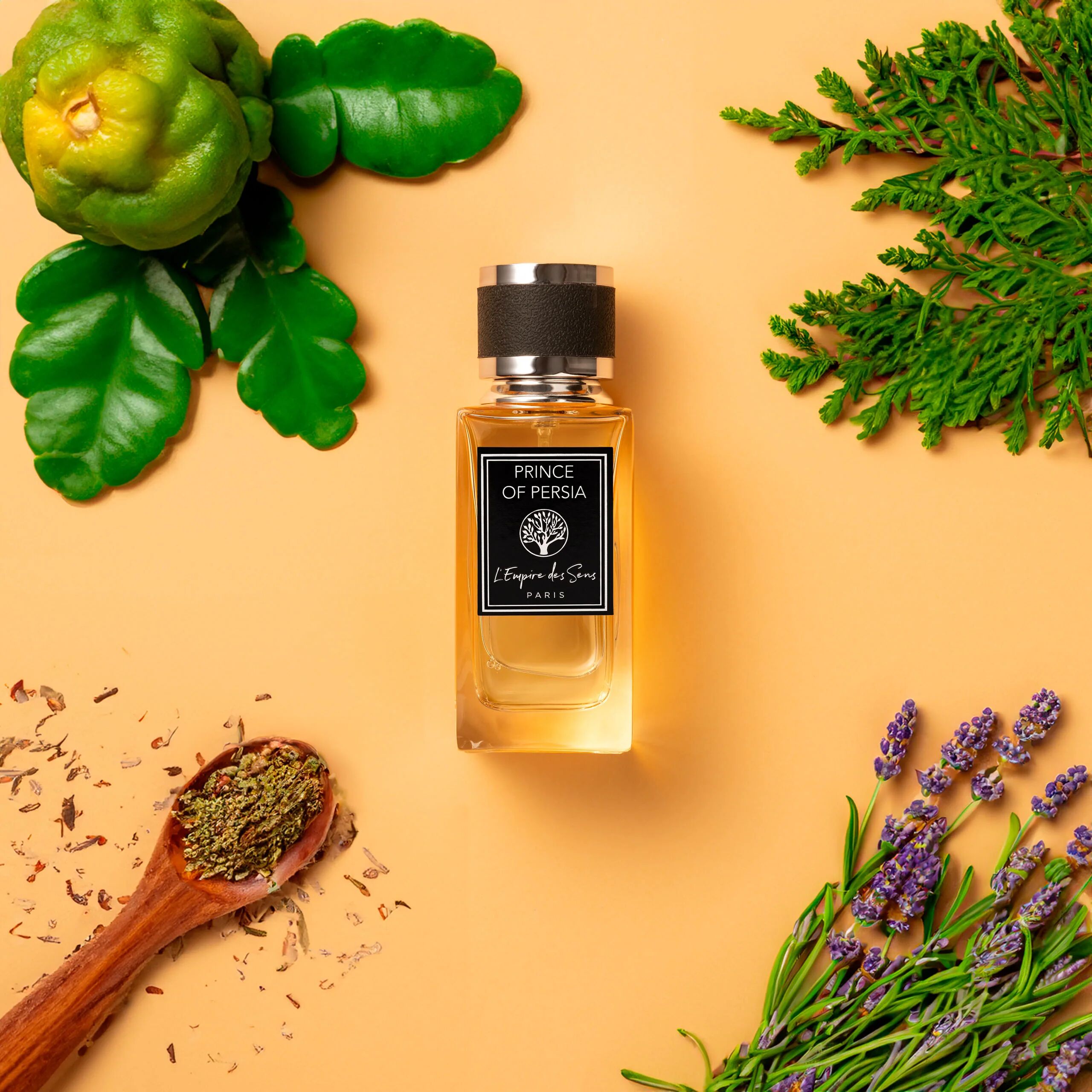 Prince of Persia L'Empire des Sens perfume - a new fragrance for women ...