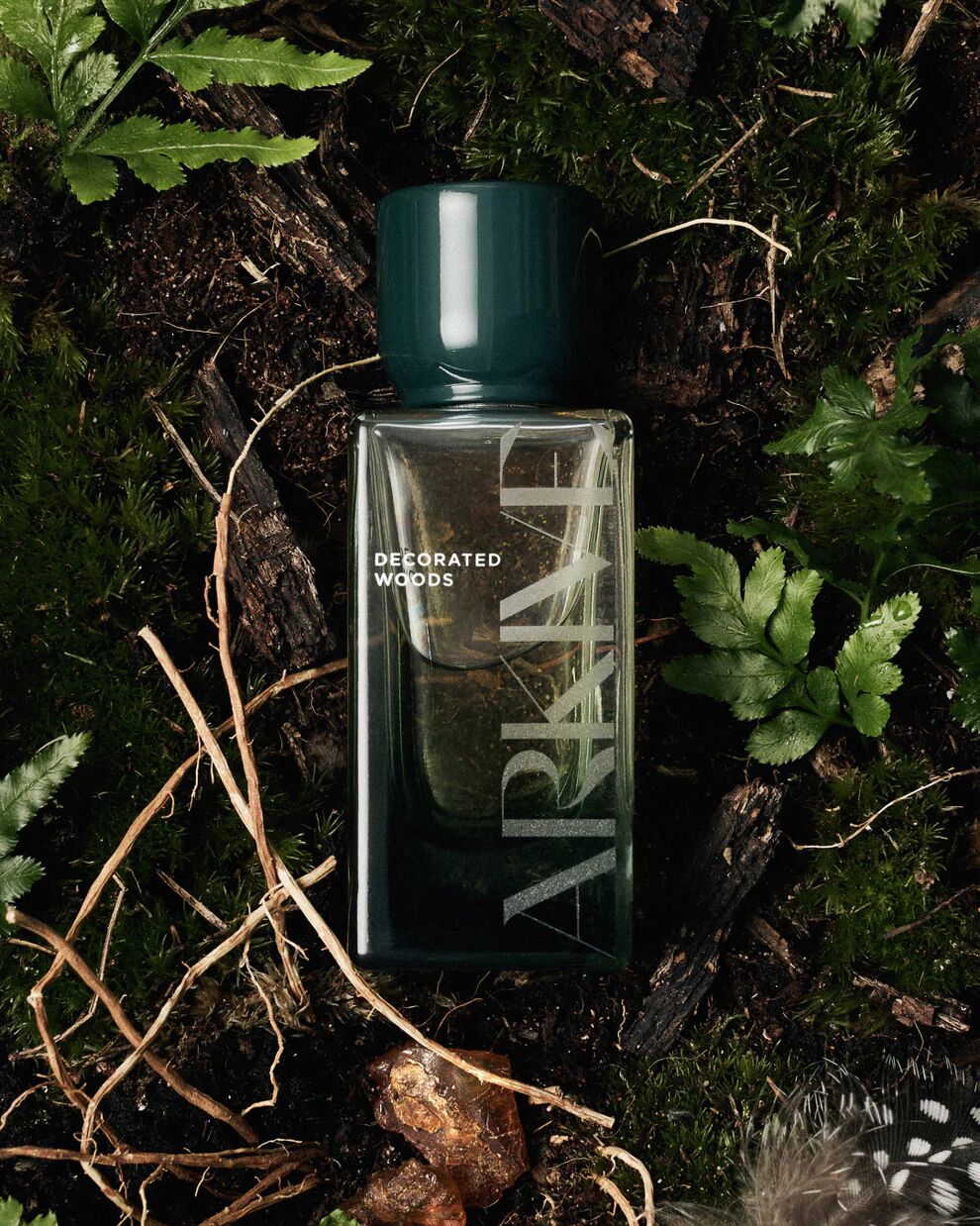 Decorated Woods Arkive perfume - a novo fragrância Compartilhável 2024
