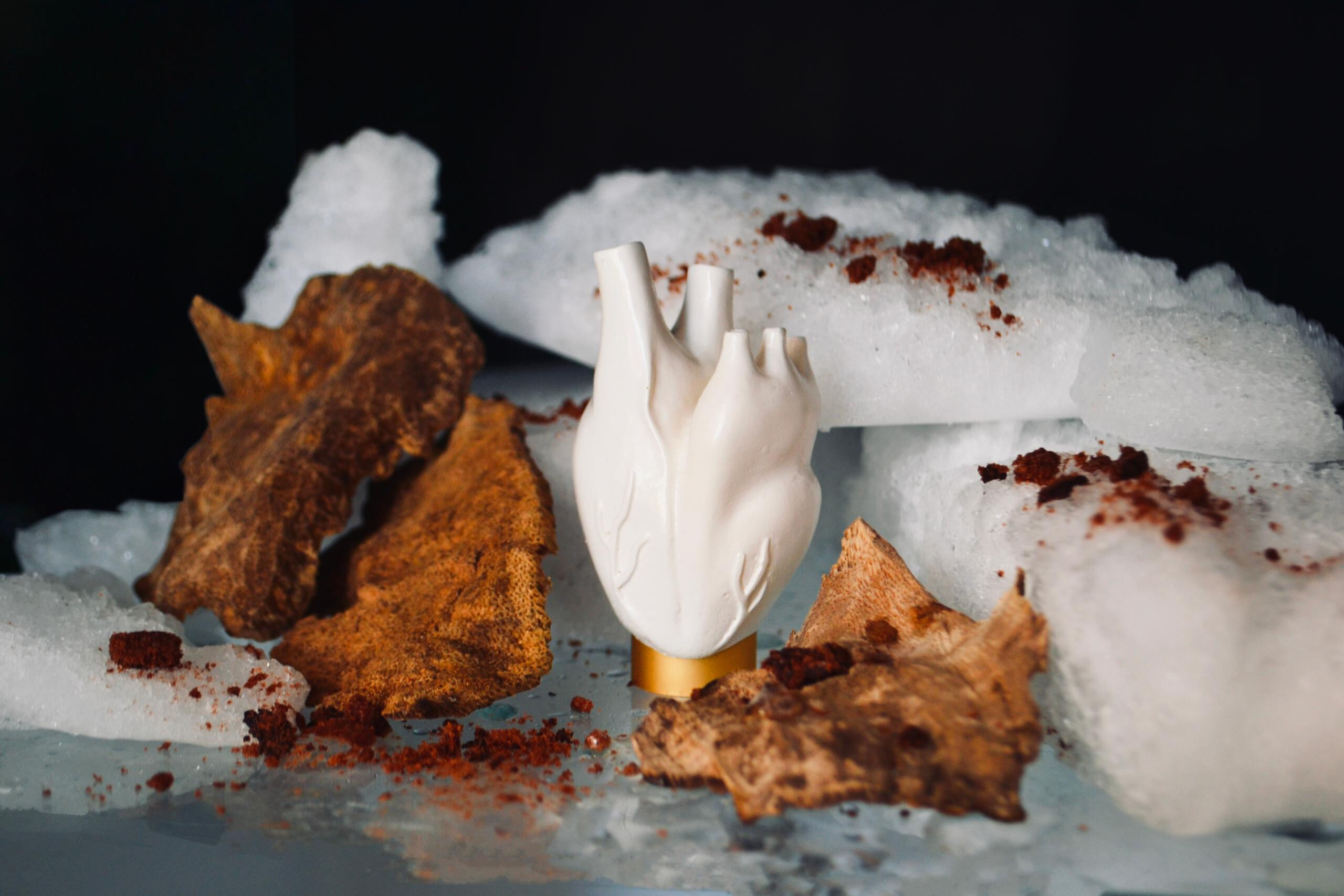 ImPossibile Unico Perfume perfume - a new fragrance for women and men 2024