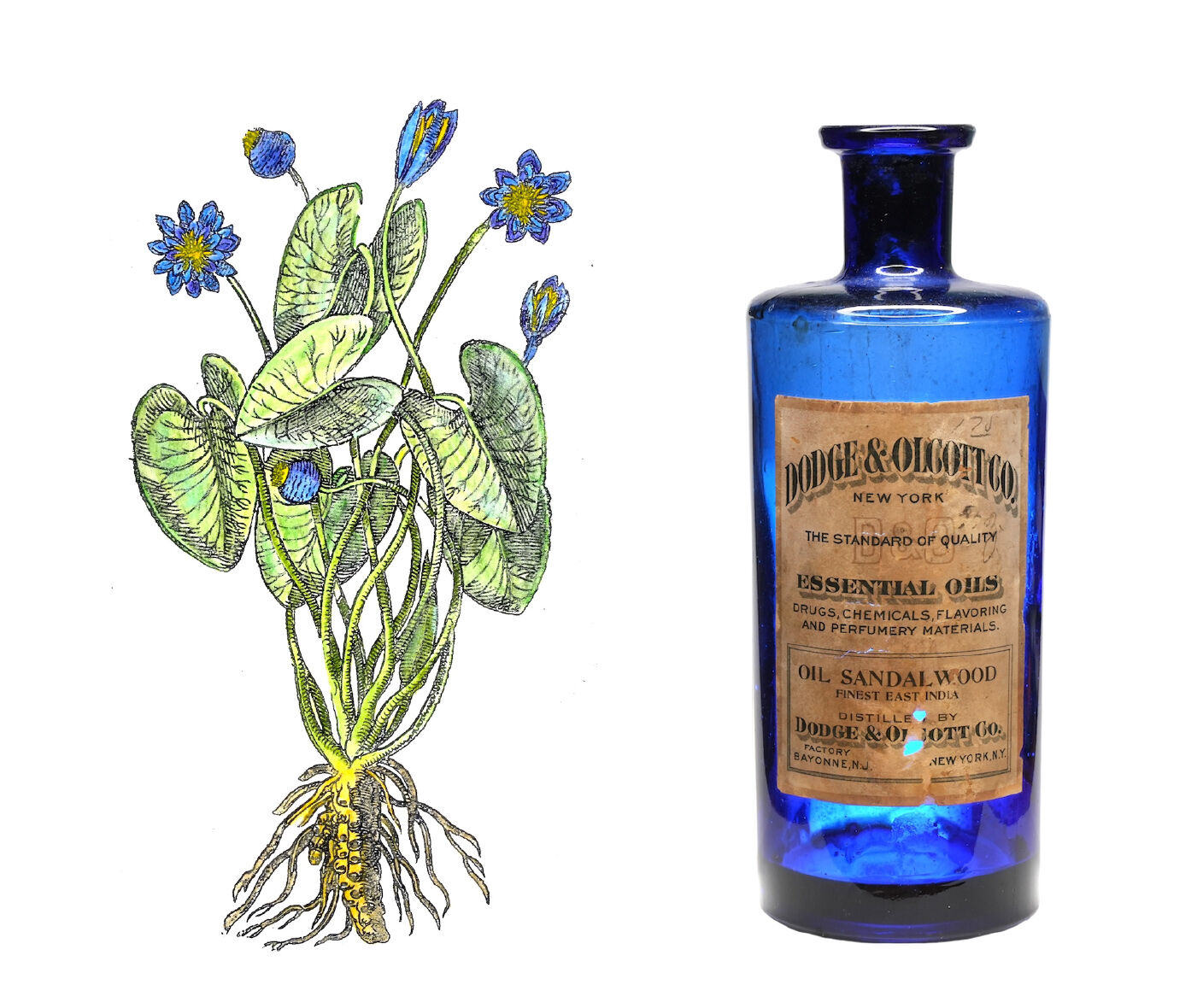 Sacré Bleu Aftelier parfem - novi parfem za žene i muškarce 2024