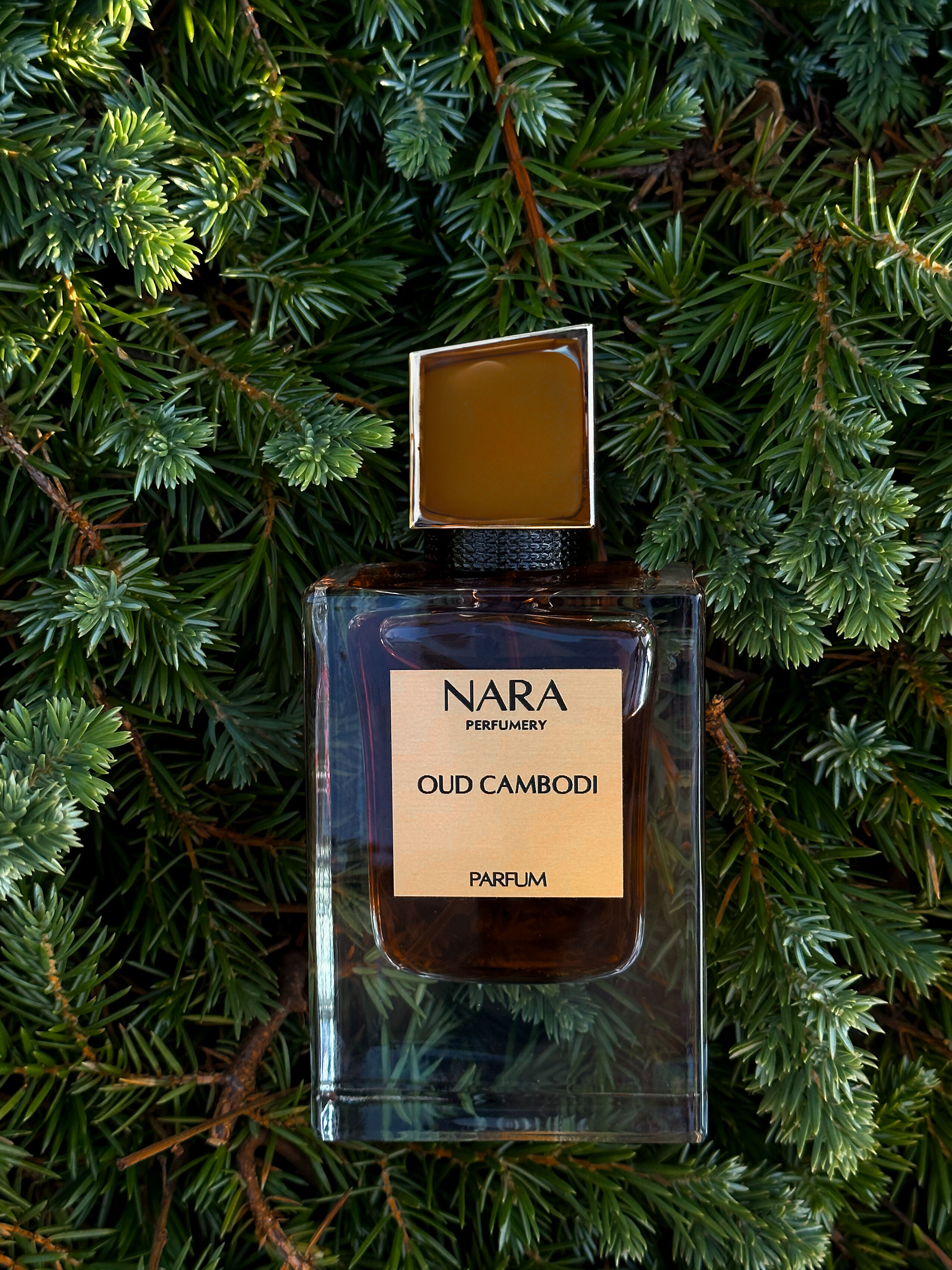 Oud Cambodi Nara Perfumery perfume - a fragrance for women and men 2023