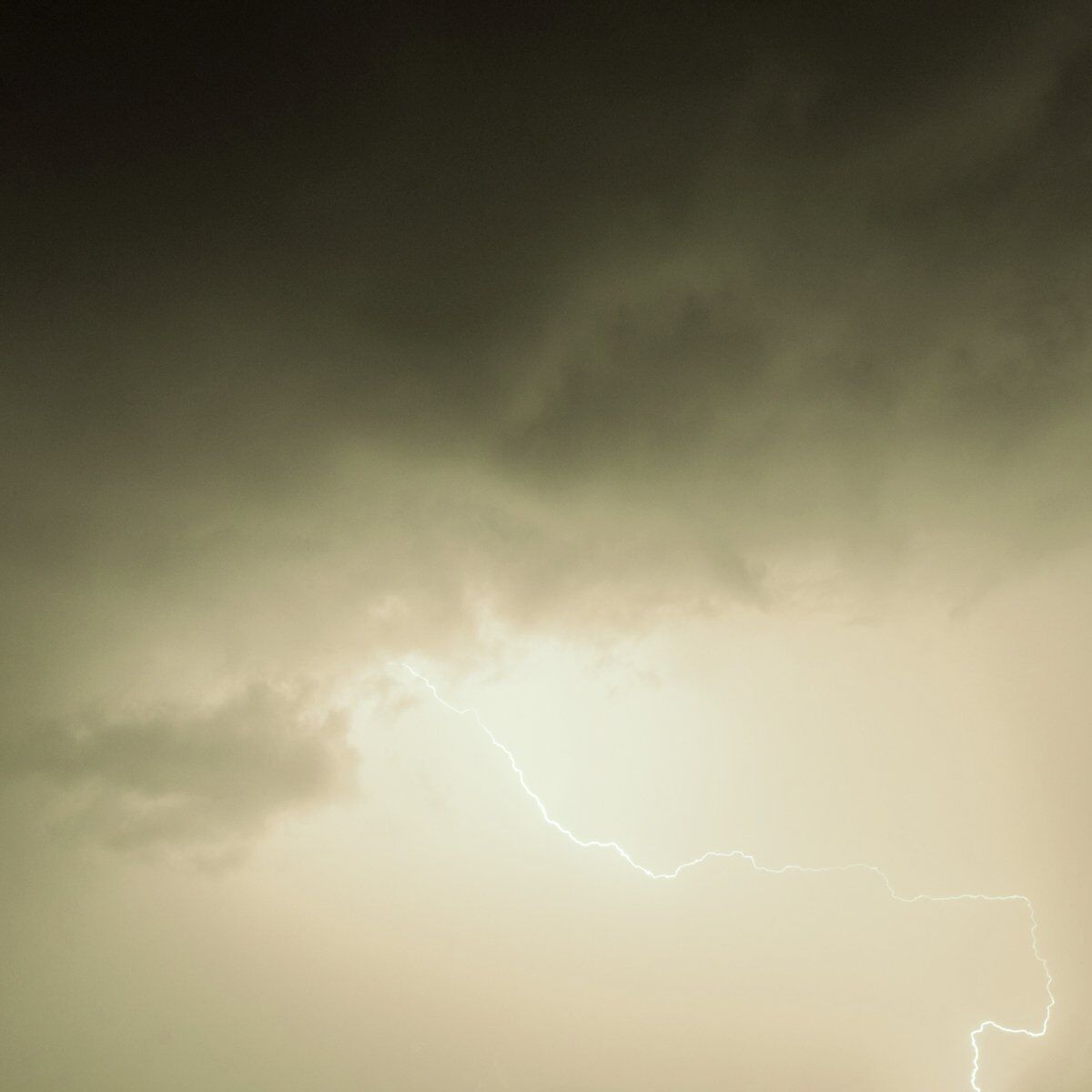 ki'lei source adage fragrances perfume - a new fragrance for women and ...