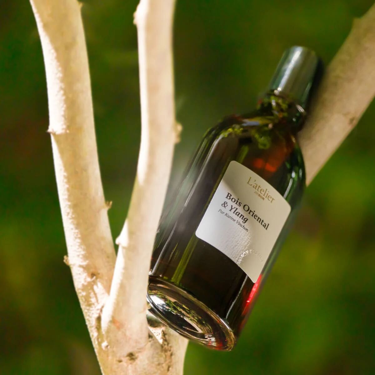 Bois Oriental & Ylang 100 Bon perfume - a novo fragrância ...