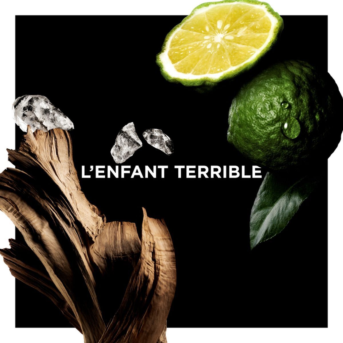 L'Enfant Terrible Givenchy perfume - a new fragrance for women and men 2025