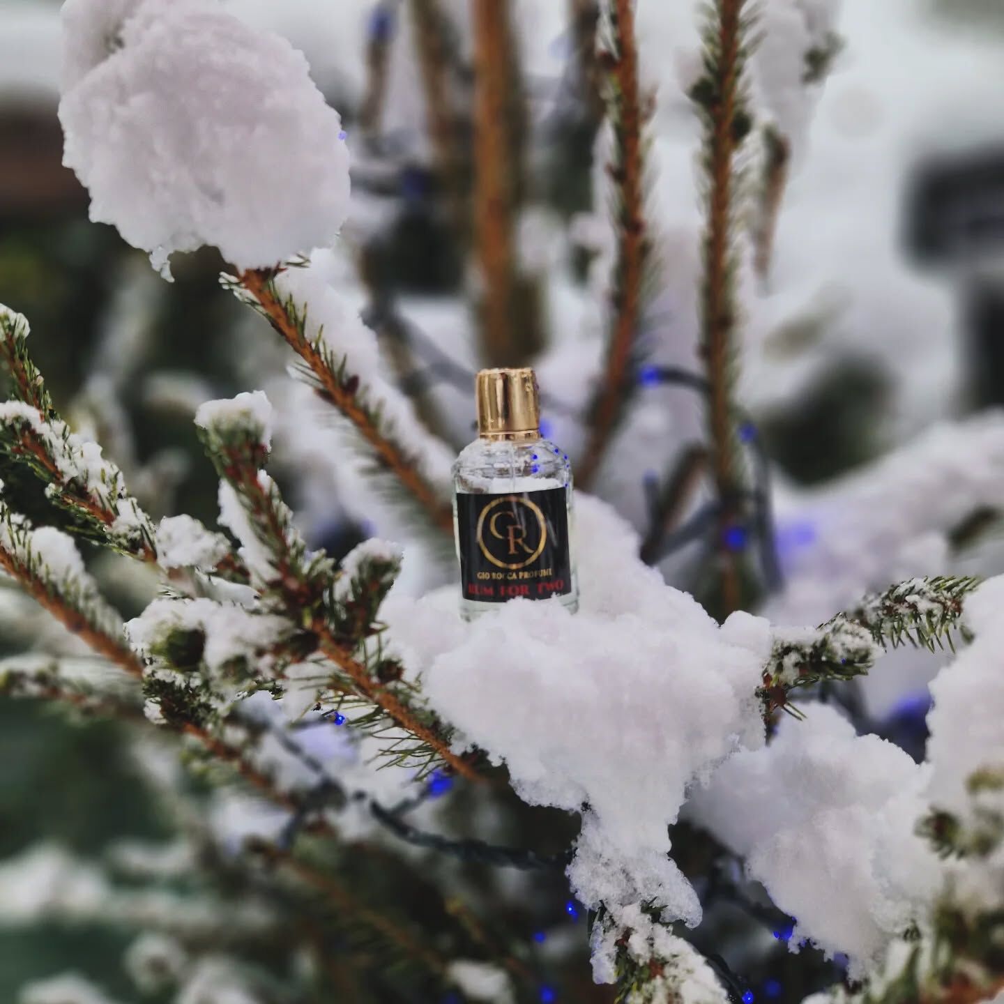 Rum for Two Giò Rocca Profumi perfume - a new fragrance for women and ...