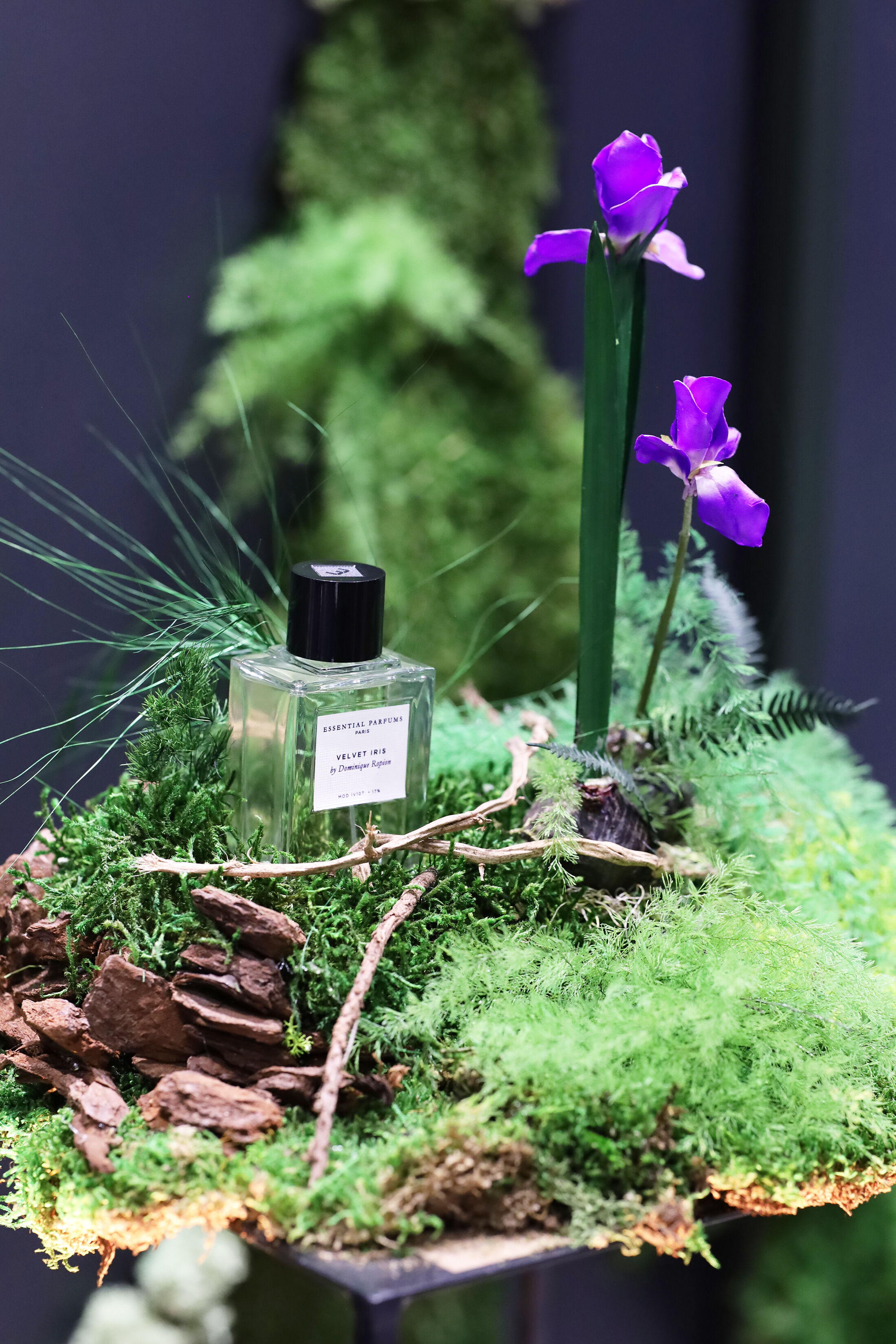 Velvet Iris Essential Parfums Parfum - ein neues Parfum für Frauen und Männer 2025