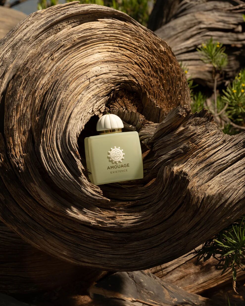 Existence Amouage аромат — новый аромат для мужчин и женщин 2025