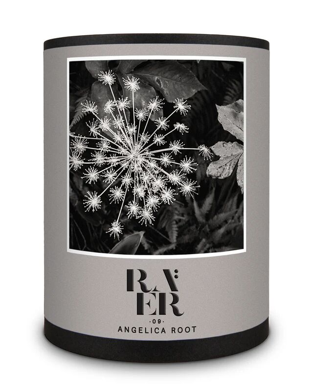 Raer 09 Angelica Root RAER Scents perfume - a new fragrance for women ...