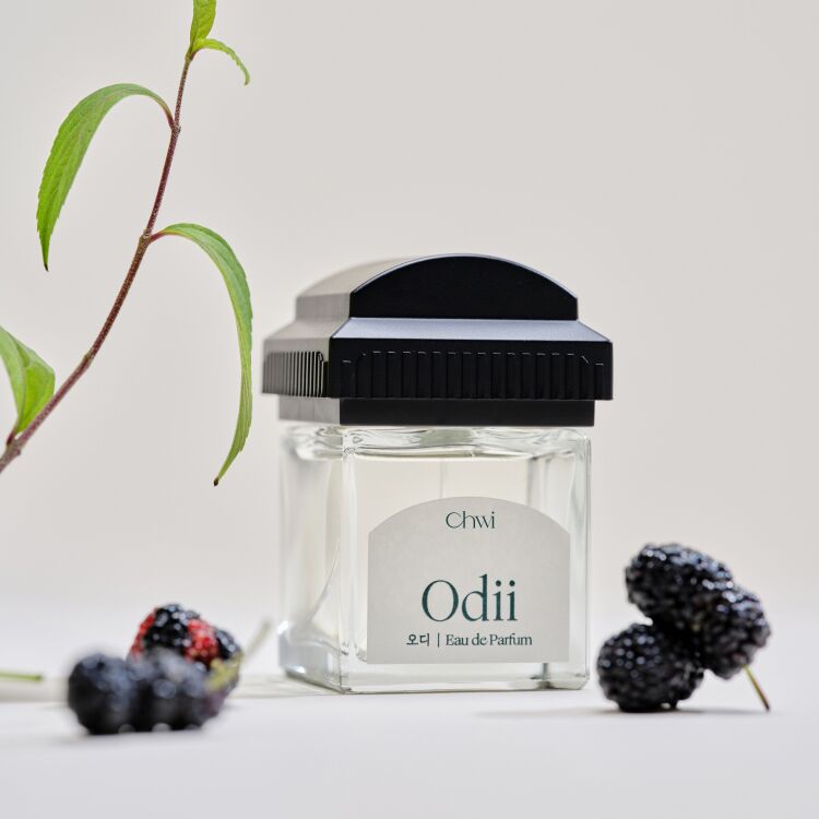 Odii 오디 Chwi 취 perfume - a new fragrance for women and men 2024