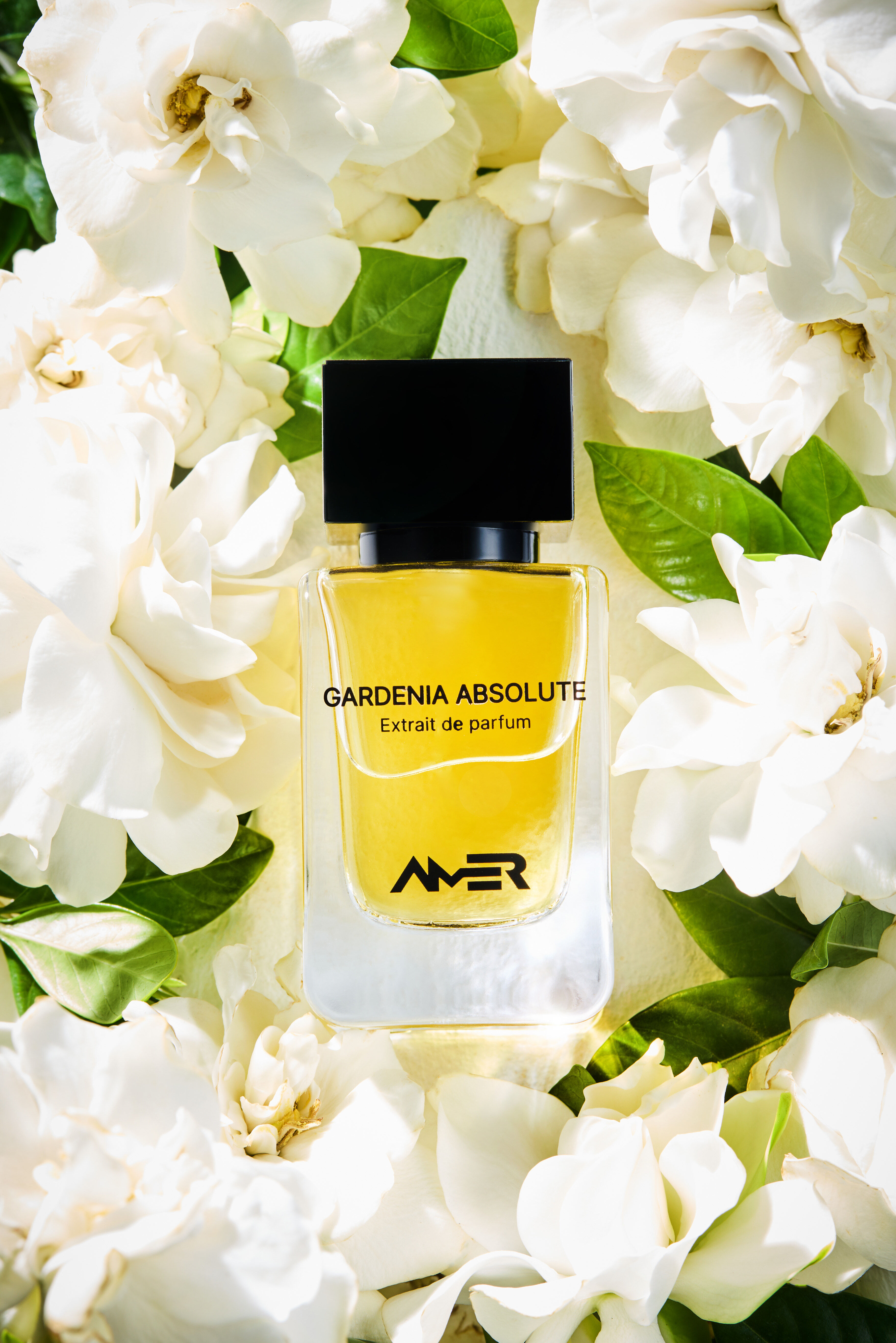 Gardenia Absolute Amer Perfumes perfume - a fragrance for women and men 2023