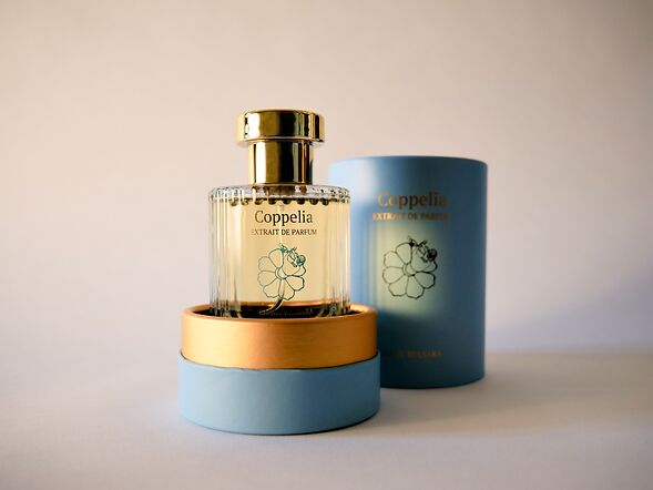Coppelia Candy Bulsara perfume - a new fragrance for women 2024