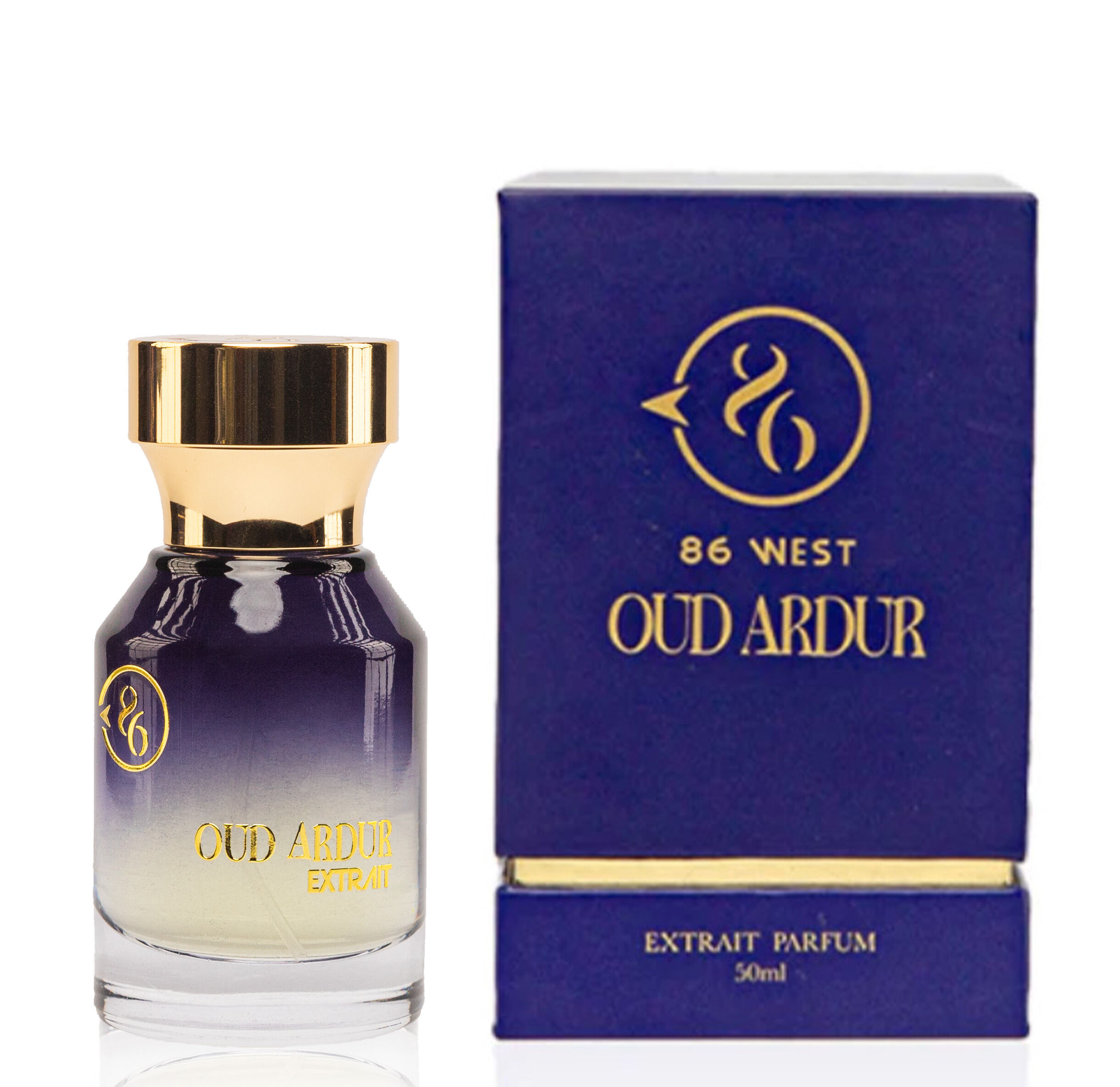 OUD Ardur 86 West сүрчиг - a сүрчиг эрэгтэй эмэгтэй