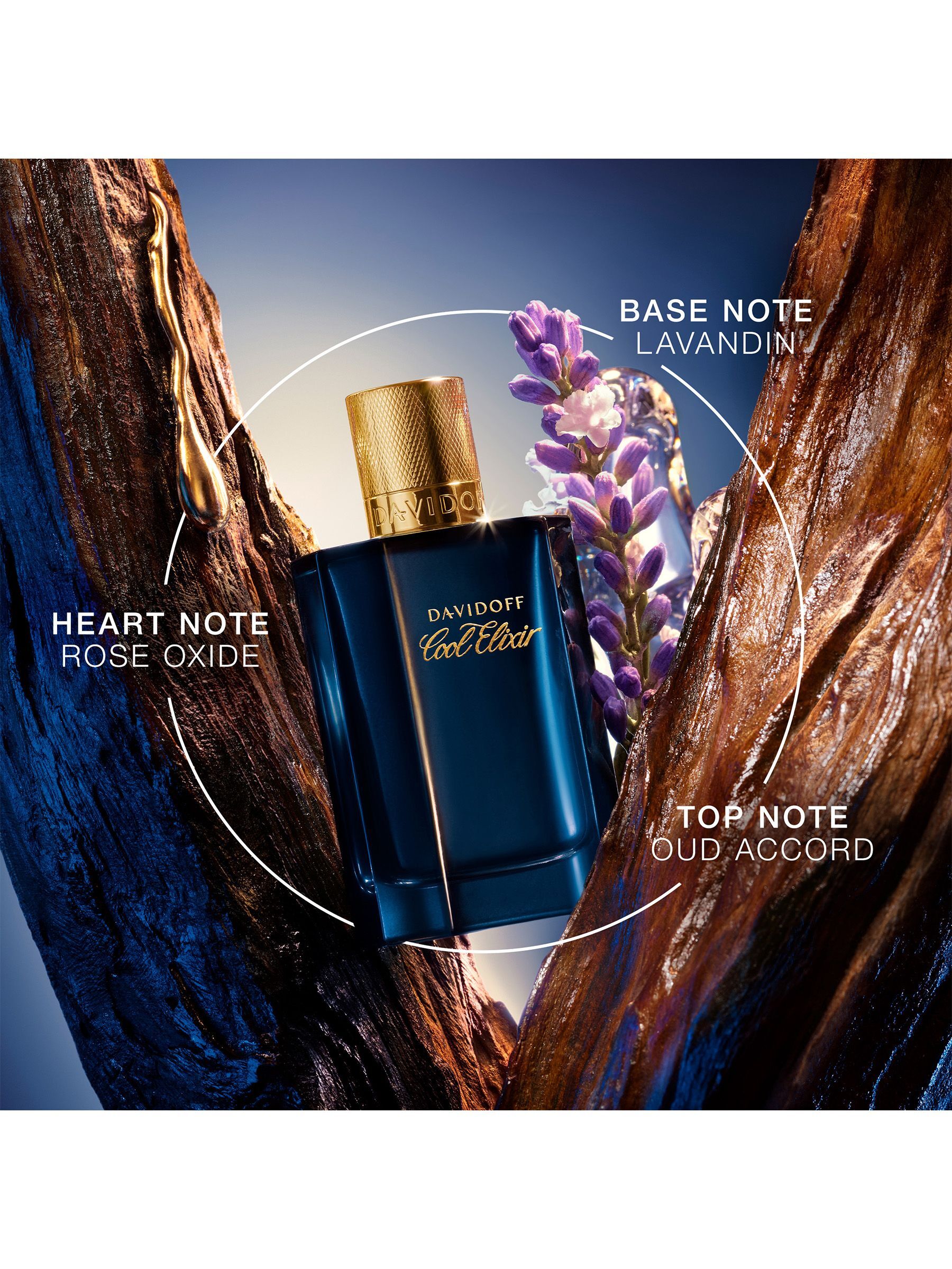 Cool Elixir Davidoff cologne - a new fragrance for men 2025