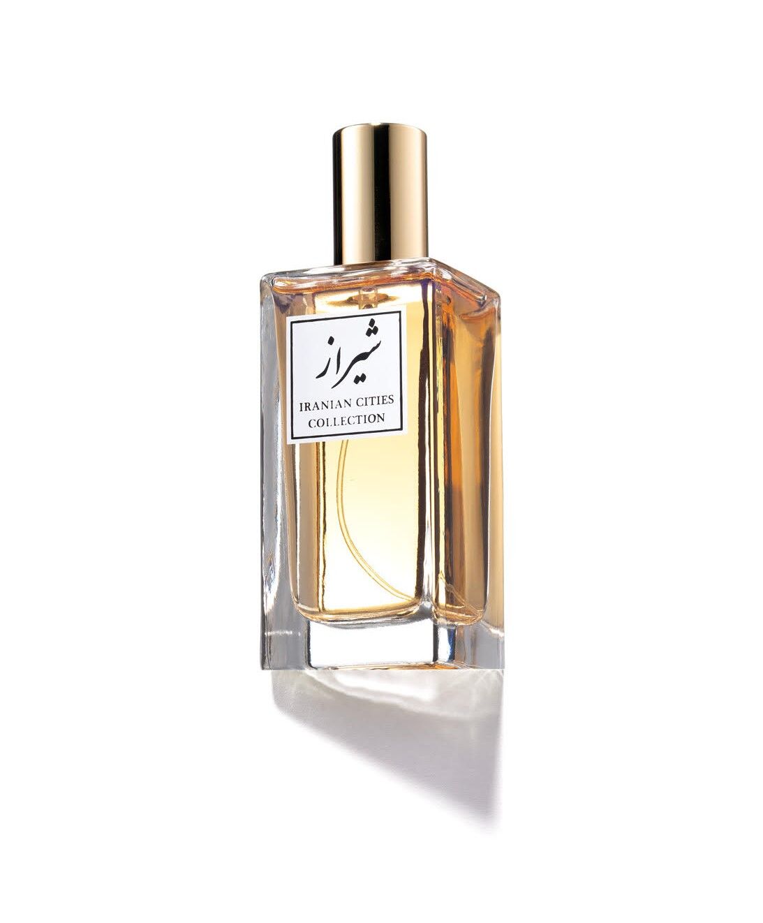 Shiraz YANI perfume - a new fragrance for women and men 2024