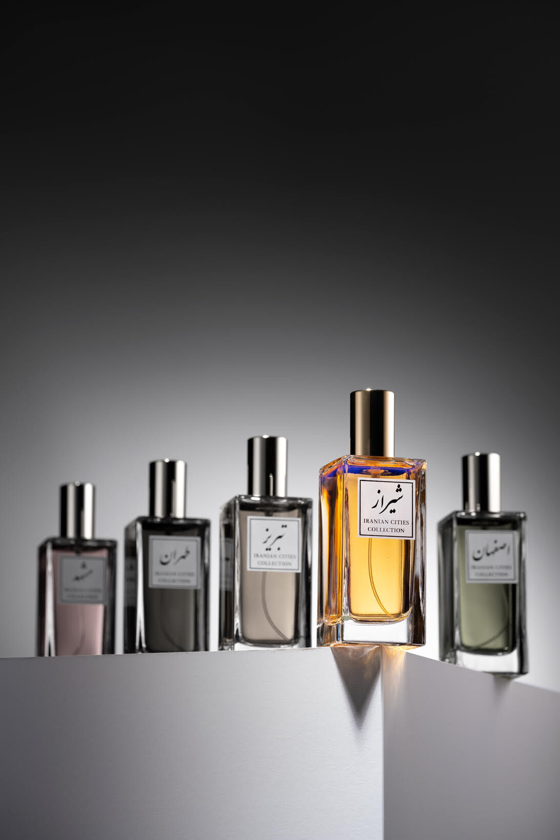 Shiraz YANI perfume - a new fragrance for women and men 2024