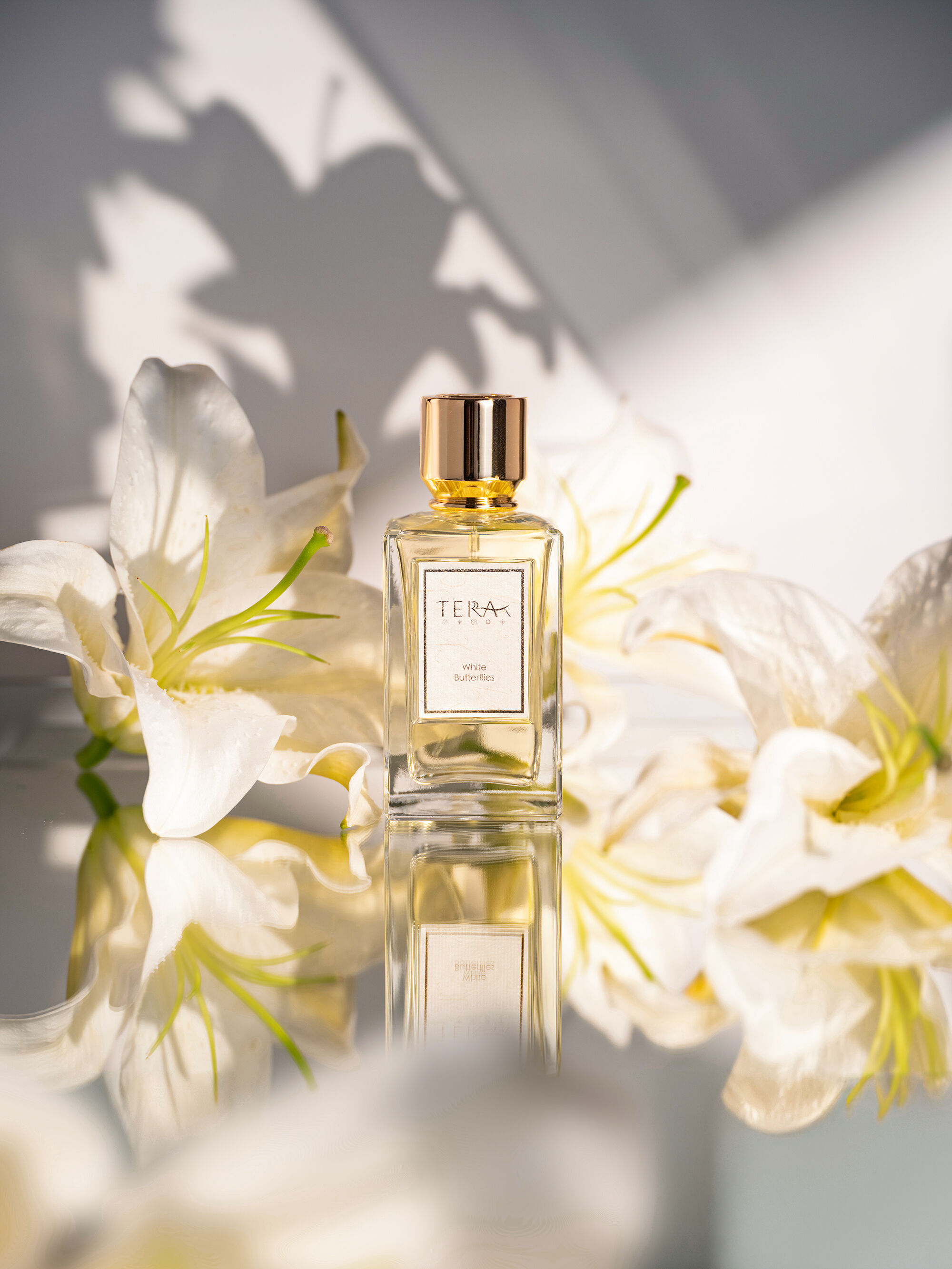 White Butterflies Terra T perfume - a new fragrance for women and men 2024