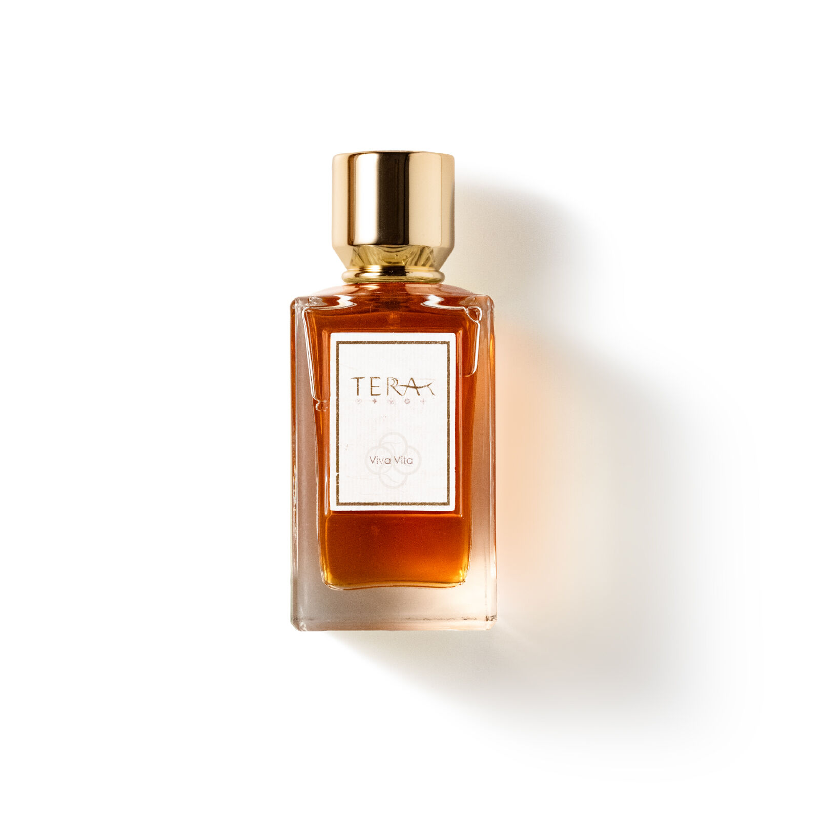 Viva Vita Terra T perfume - a new fragrance for women and men 2024