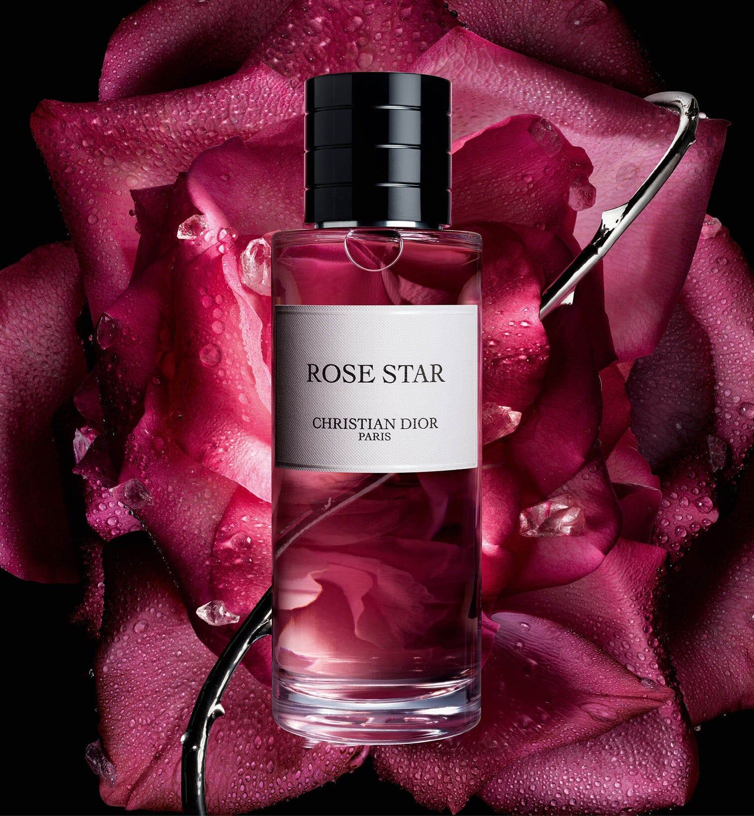 Rose Star Dior perfume - a new fragrance for women and men 2025