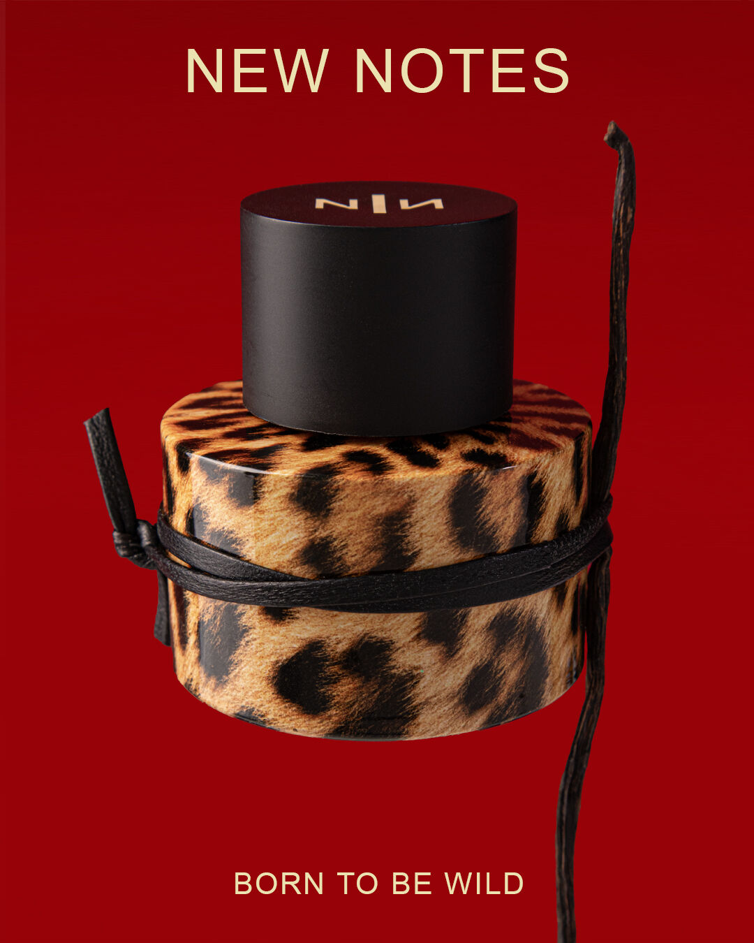 Felina New Notes parfum - un nouveau parfum pour homme et femme 2025