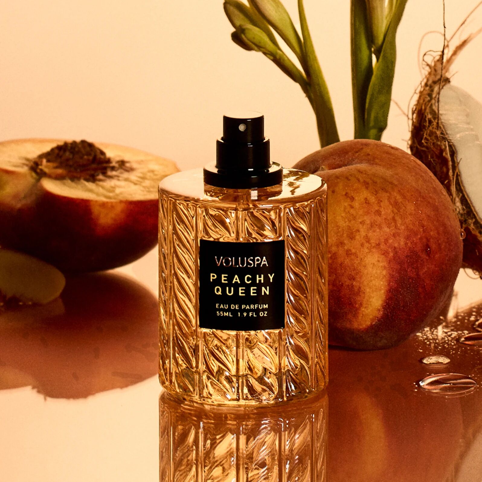 Peachy Queen Voluspa сүрчиг - a шинэ сүрчиг эрэгтэй эмэгтэй 2025