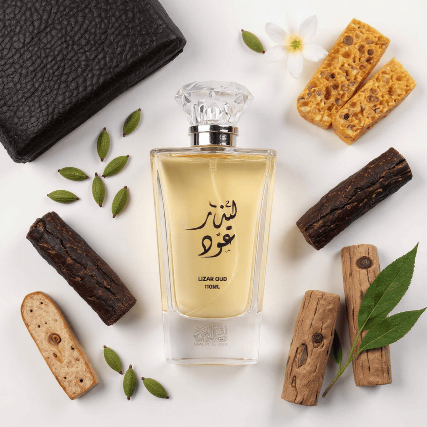 Lizar Oud Asalat Al Oud сүрчиг - a сүрчиг эрэгтэй эмэгтэй