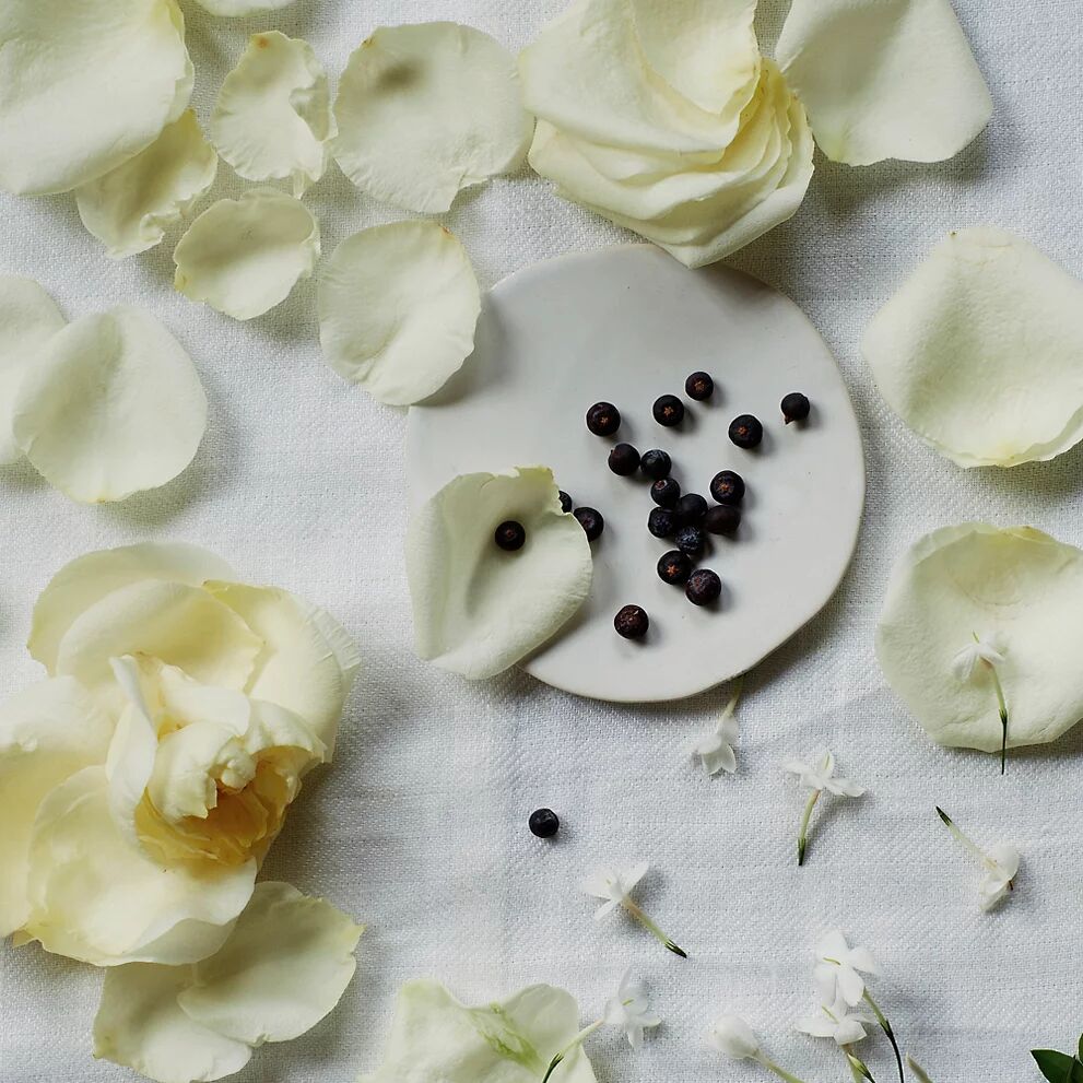 Blanc The White Company perfume - a fragrance for women and men