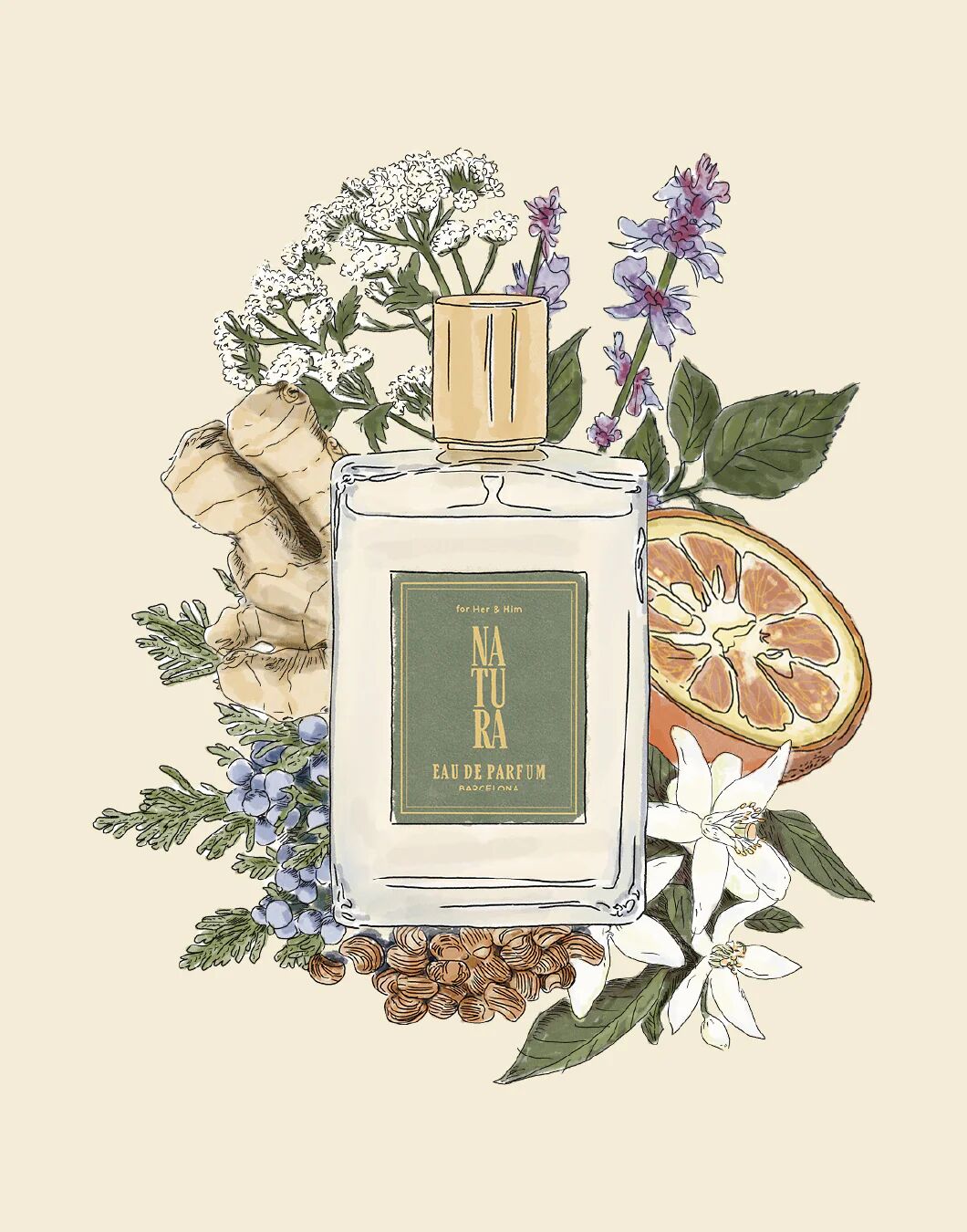 Natura Eau de Parfum Natura Selection perfume - a new fragrance for ...