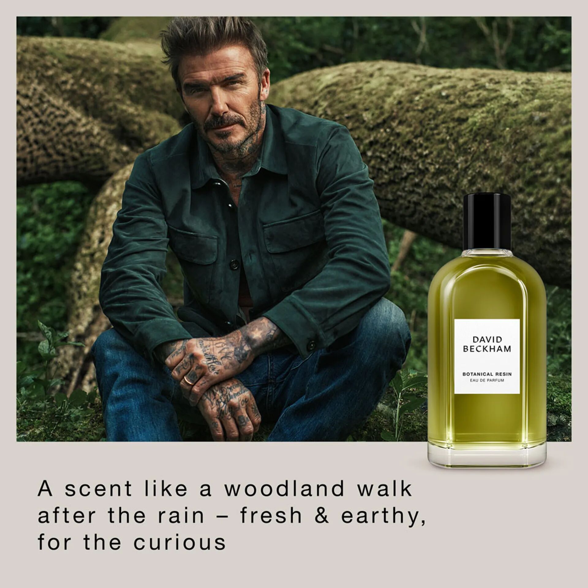 Botanical Resin David Beckham cologne - a new fragrance for men 2025