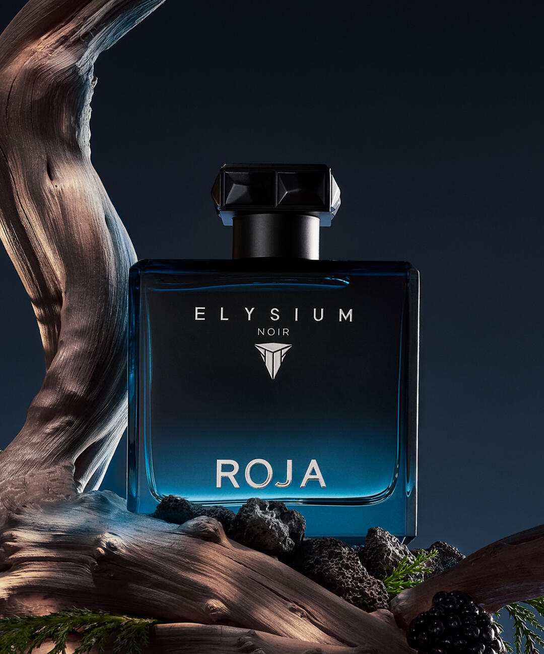 Elysium Noir Roja Dove perfume - a new fragrance for women and men 2025