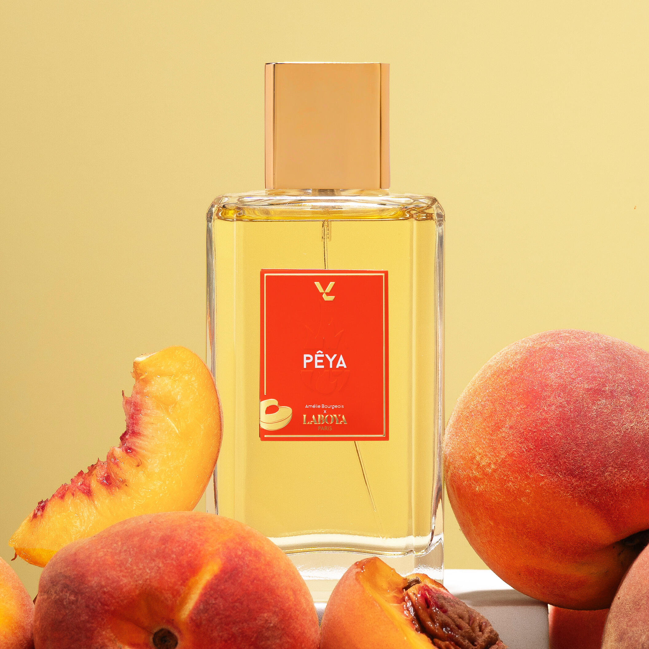 Peya Laboya Paris perfume - a new fragrance for women and men 2025