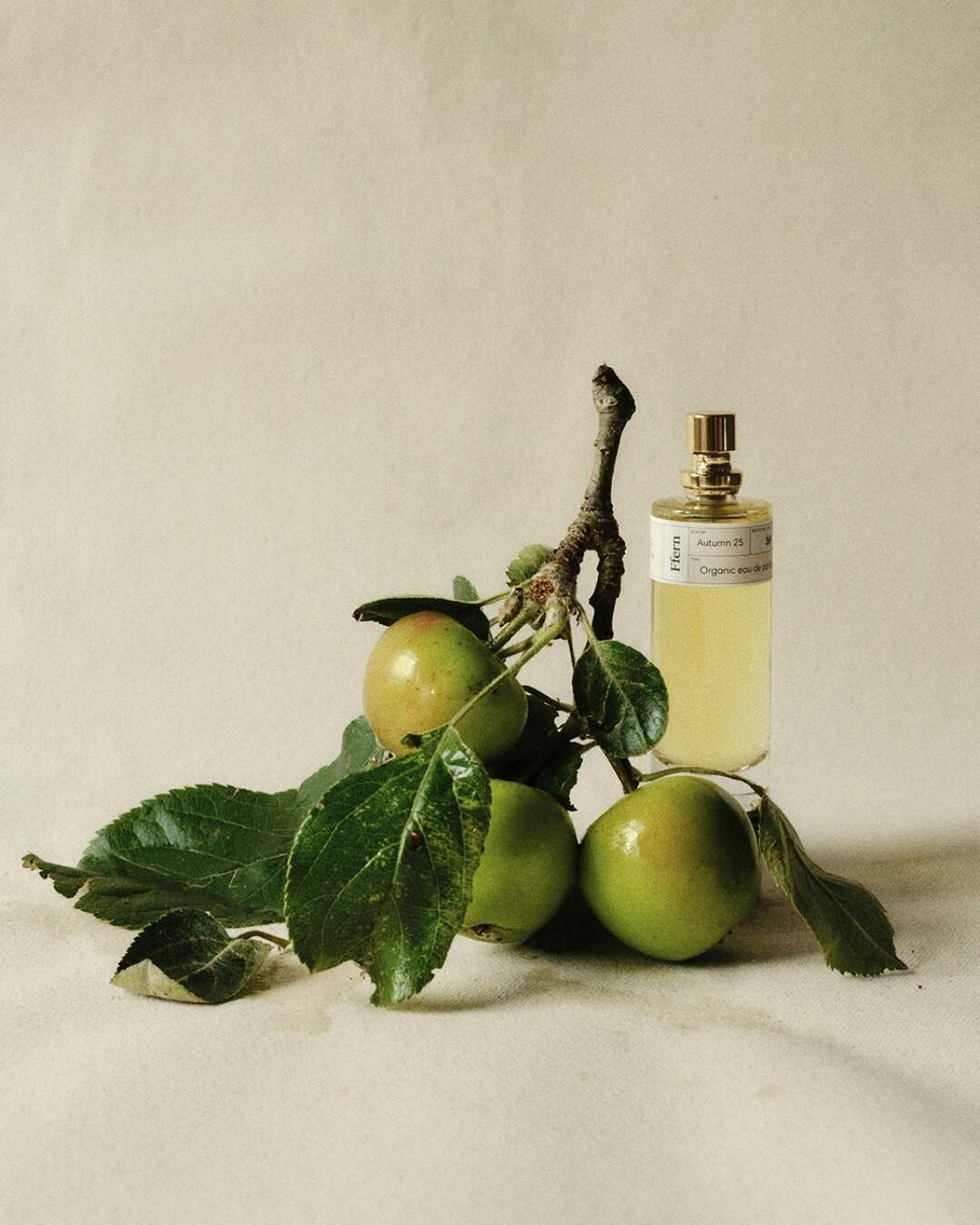 Autumn 25 Ffern perfume - a new fragrance for women and men 2025