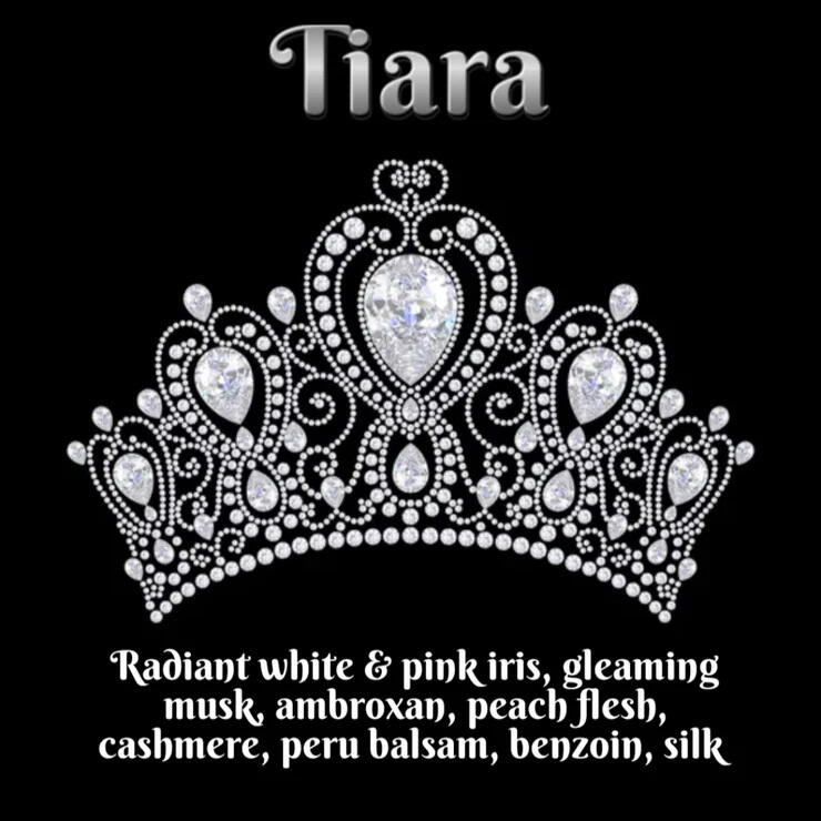 Tiara Damask Haus perfume - a fragrância Compartilhável 2023