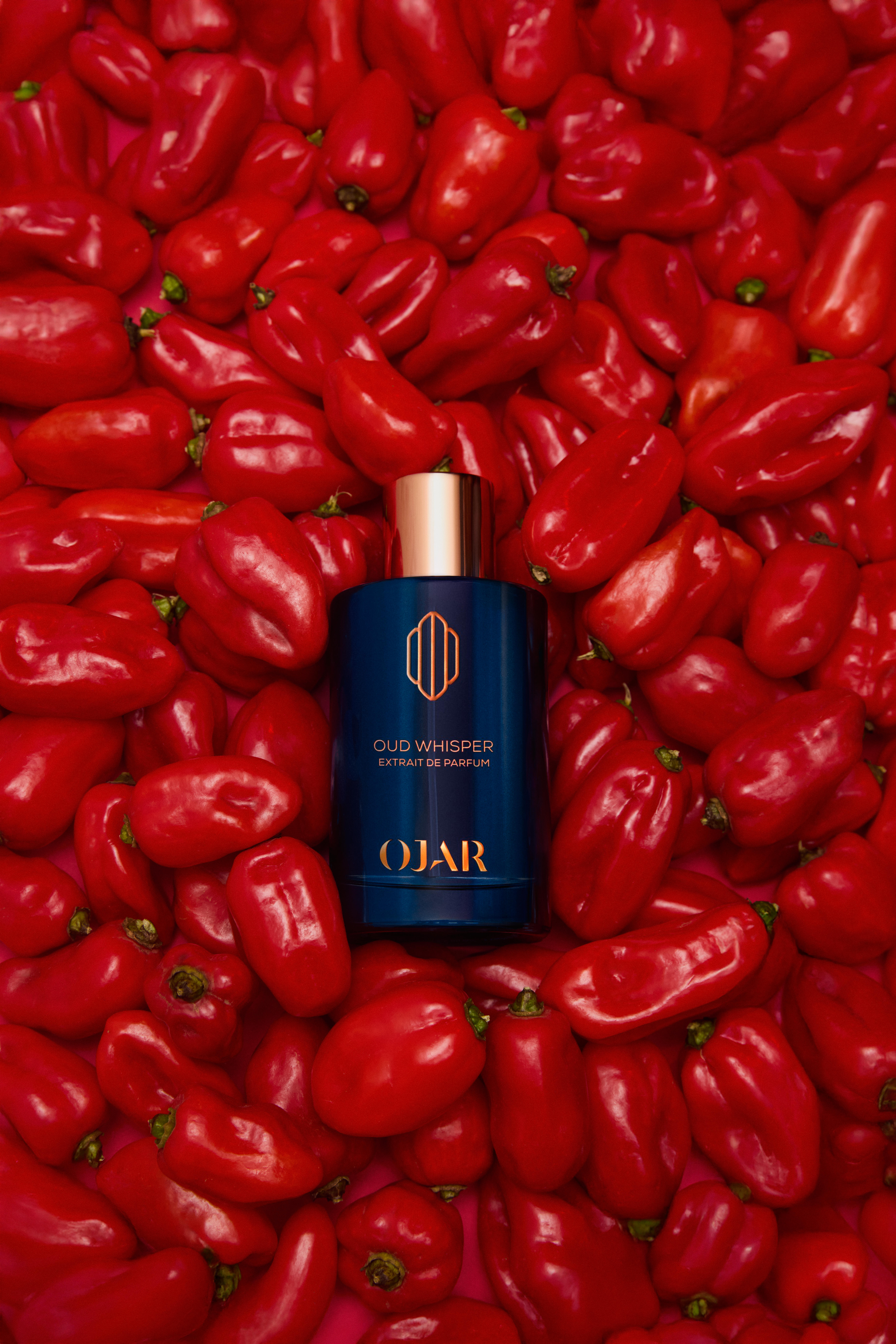 Oud Whisper Ojar perfume - a new fragrance for women and men 2025