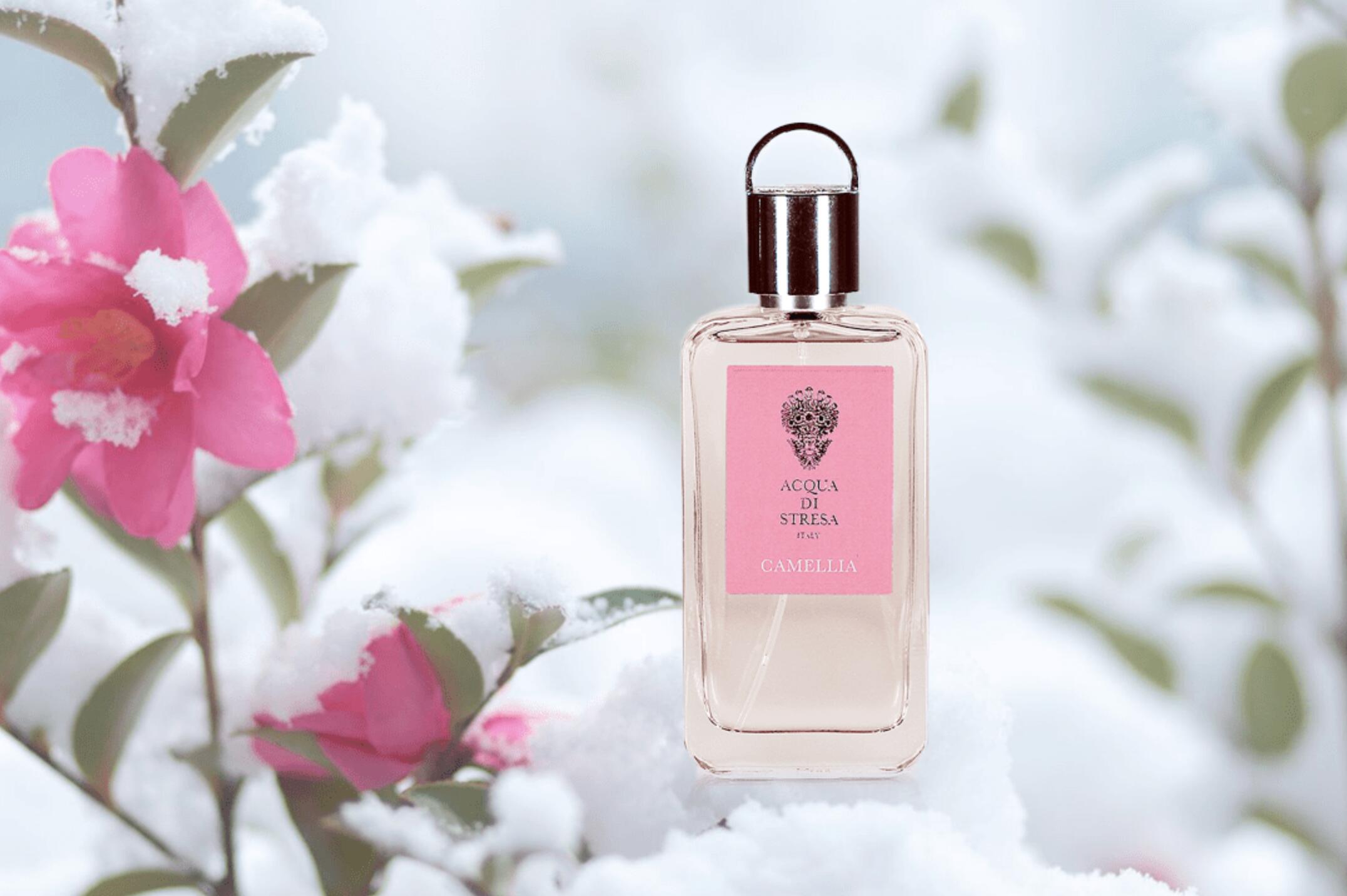 Camellia Acqua di Stresa fragancia - una fragancia para Mujeres