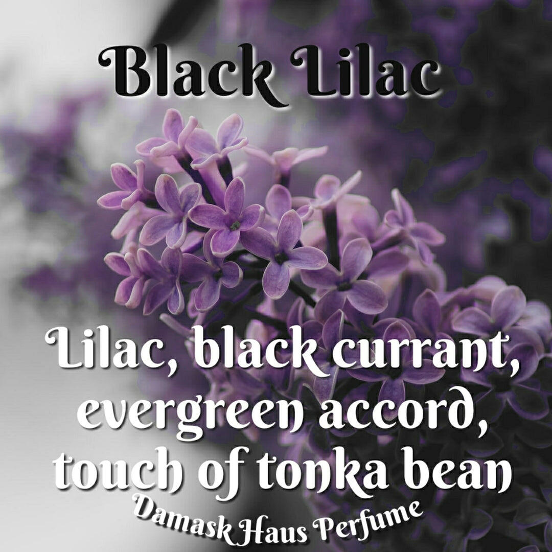 Black Lilac Damask Haus сүрчиг - a сүрчиг эрэгтэй эмэгтэй 2021