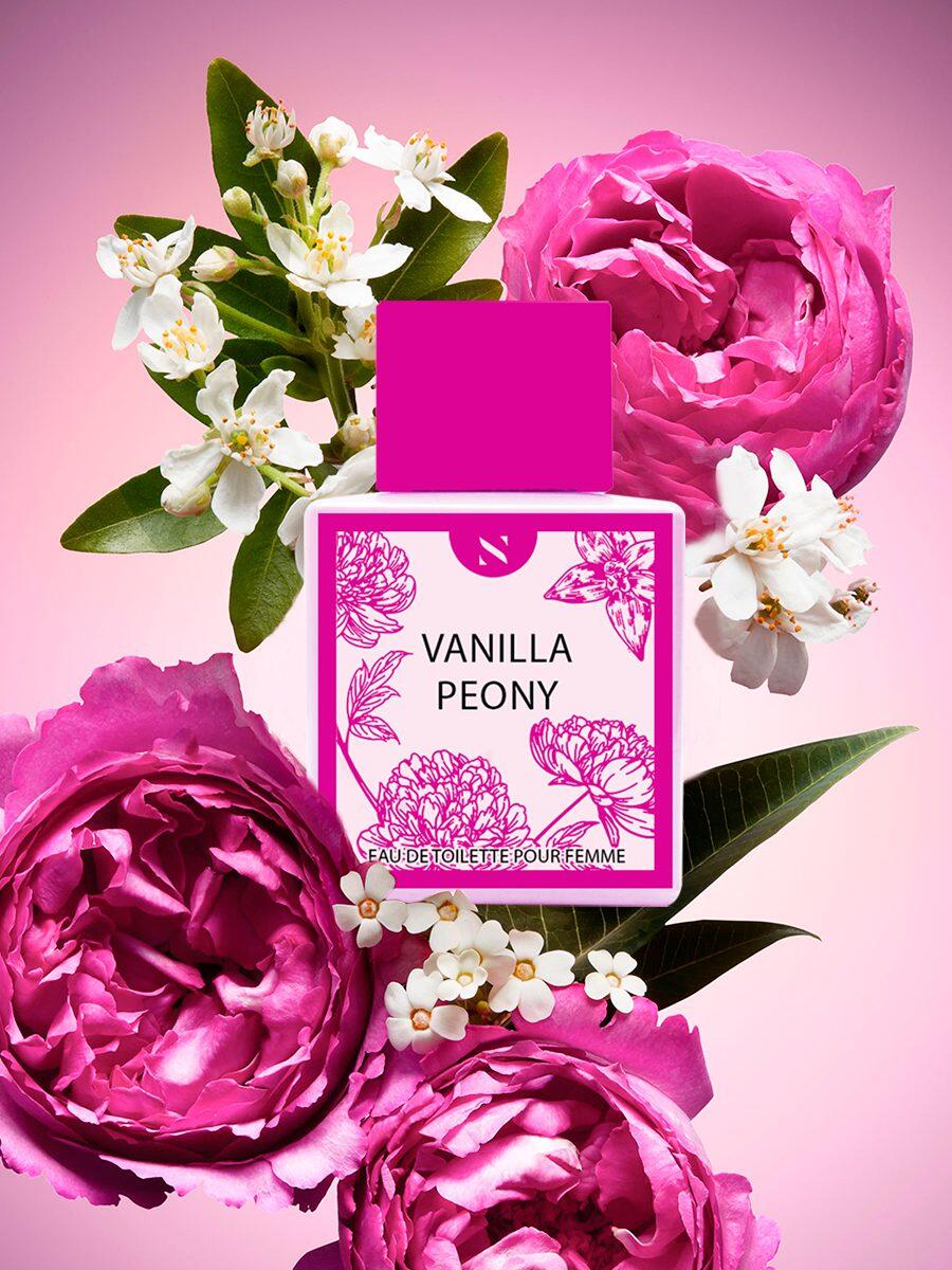 Vanilla Peony Sergio Nero perfume - a new fragrance for women 2024