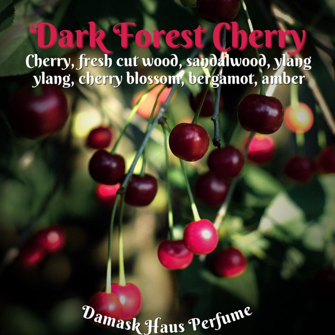 Dark Forest Cherry Damask Haus perfume - a fragrance for women and men 2022