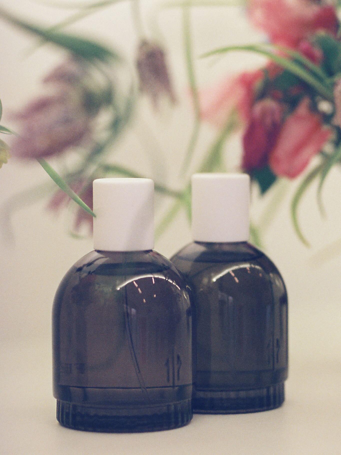 Ex Introvert The Things Past perfume - a new fragrance for women and ...