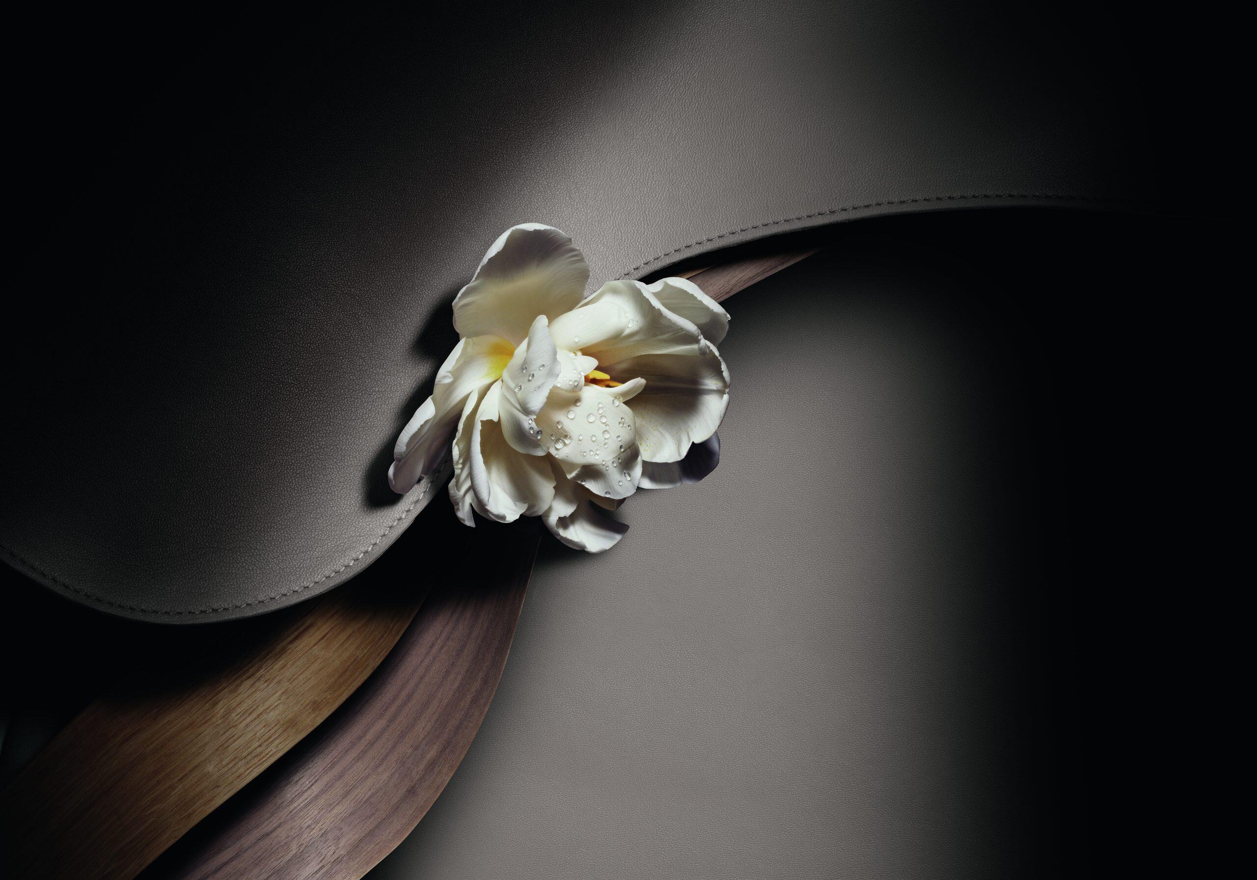 Cuir Saddle Dior parfum - un nouveau parfum pour homme et femme 2025