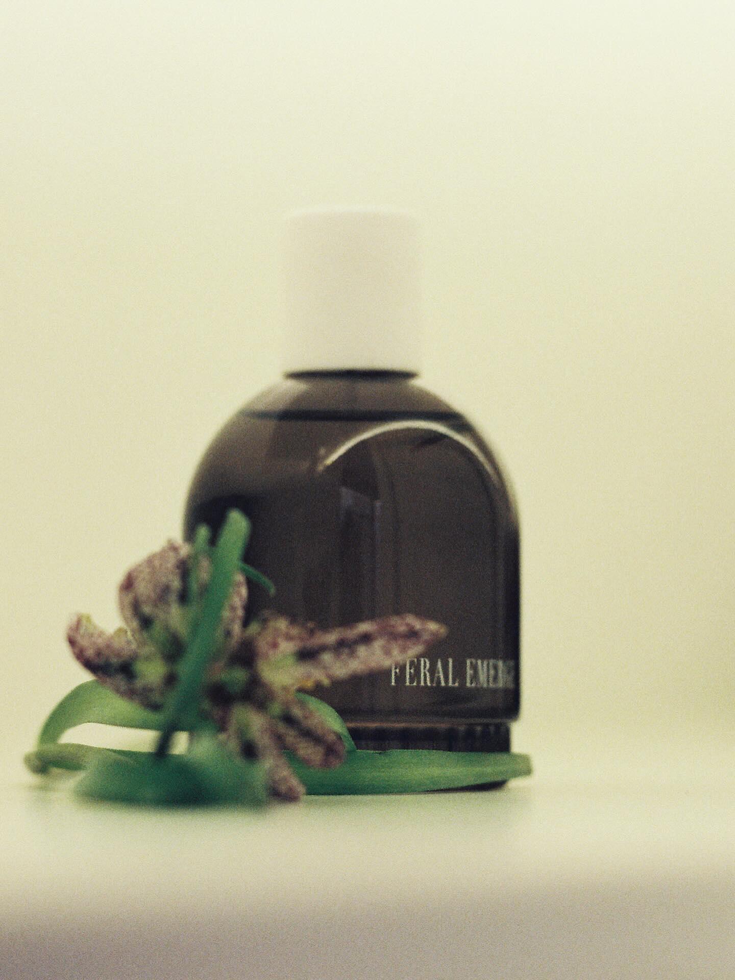 Feral Emerge The Things Past perfume - a new fragrance for women and ...