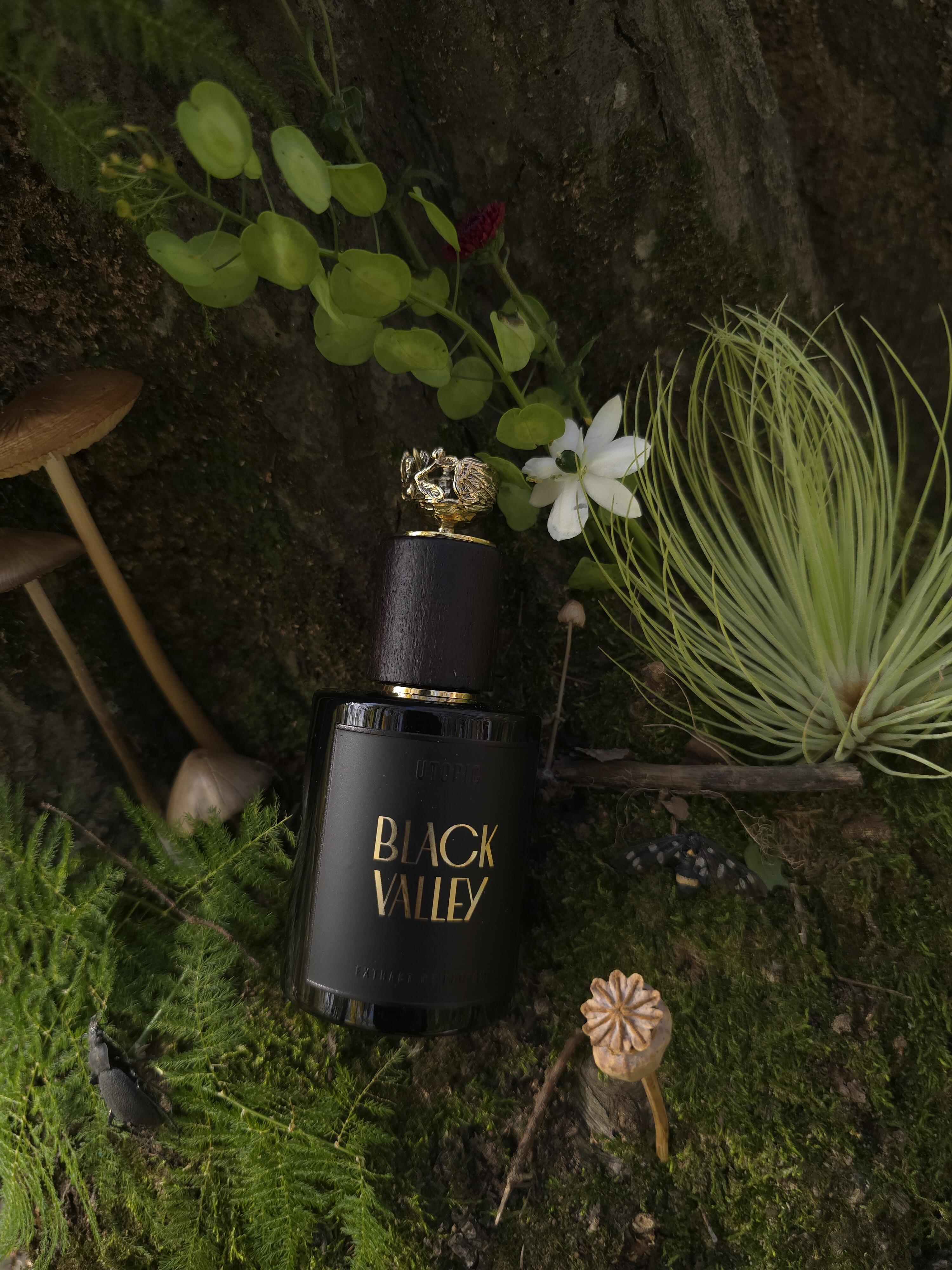 Black Valley Utopic perfume - a new fragrance for women and men 2025