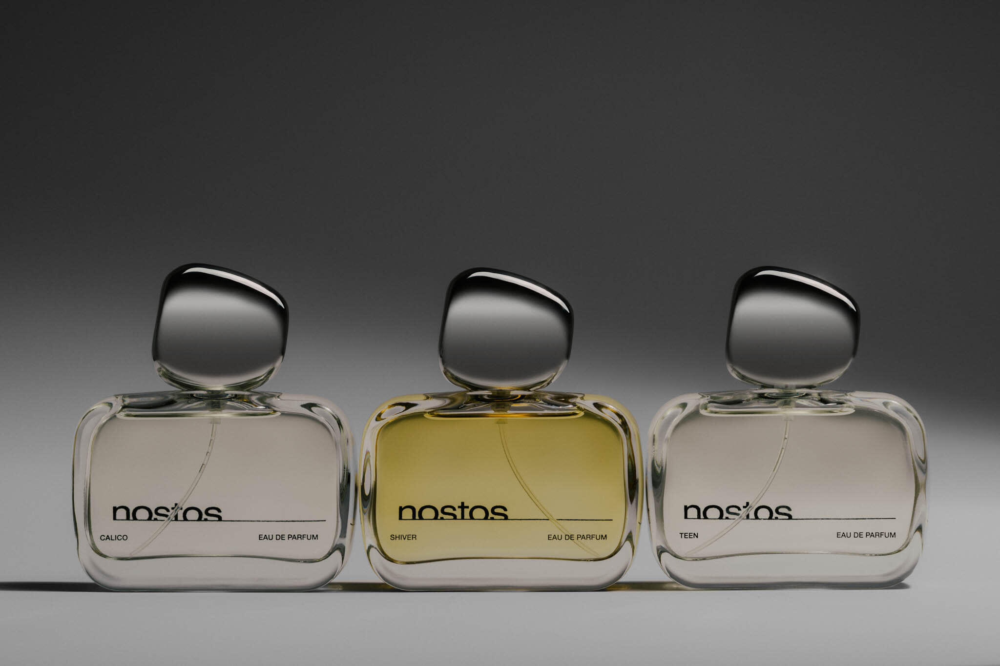 shiver nostos perfume - a novo fragrância Compartilhável 2025
