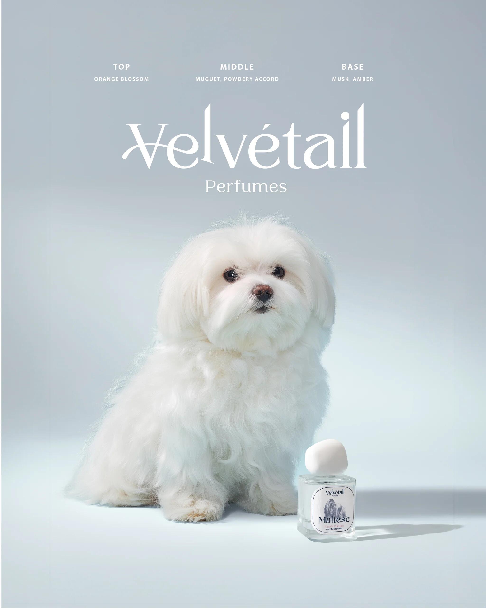Maltese Velvetail Perfumes parfum - un nou parfum unisex 2025