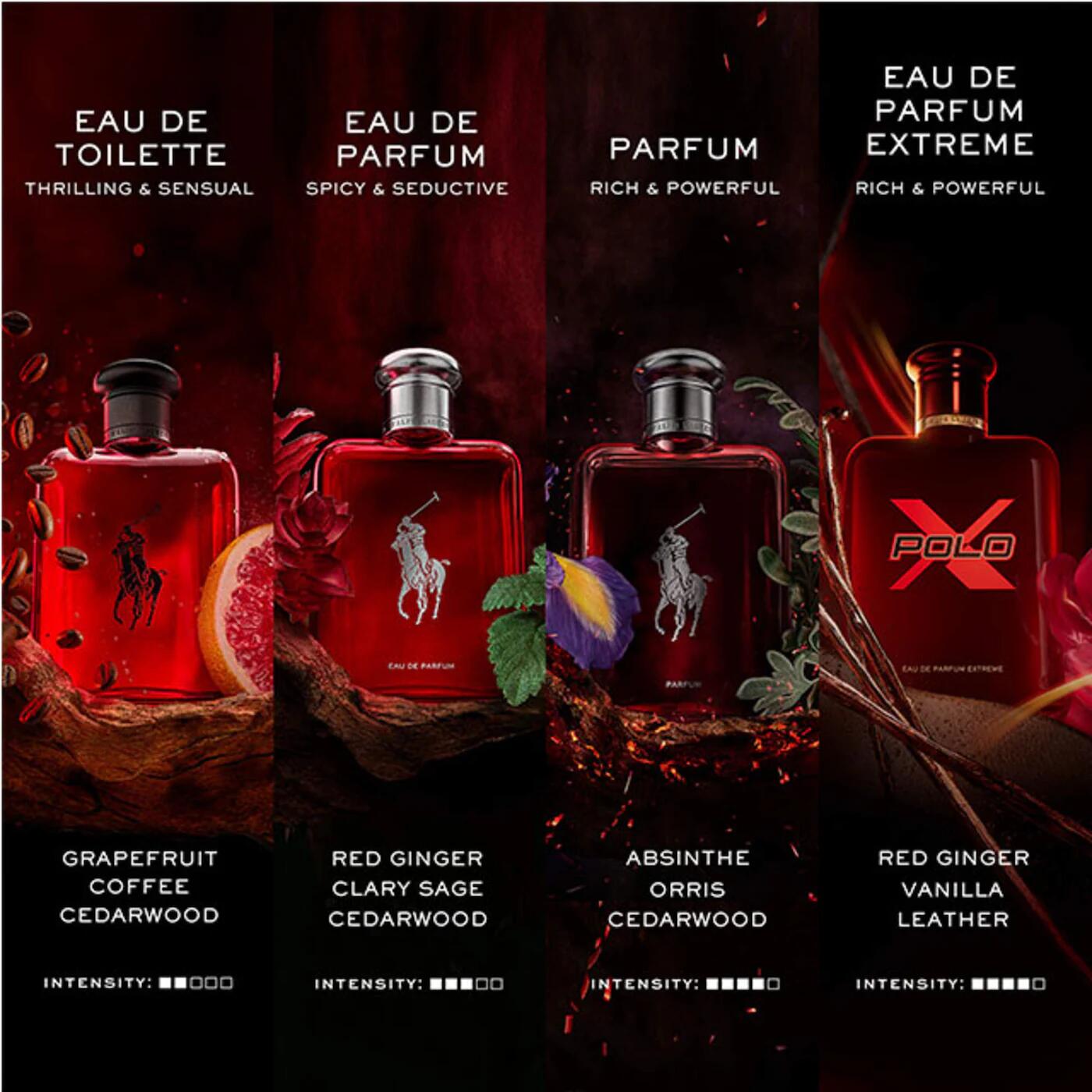 Polo Red Eau De Parfum Extreme Ralph Lauren cologne - a new fragrance ...