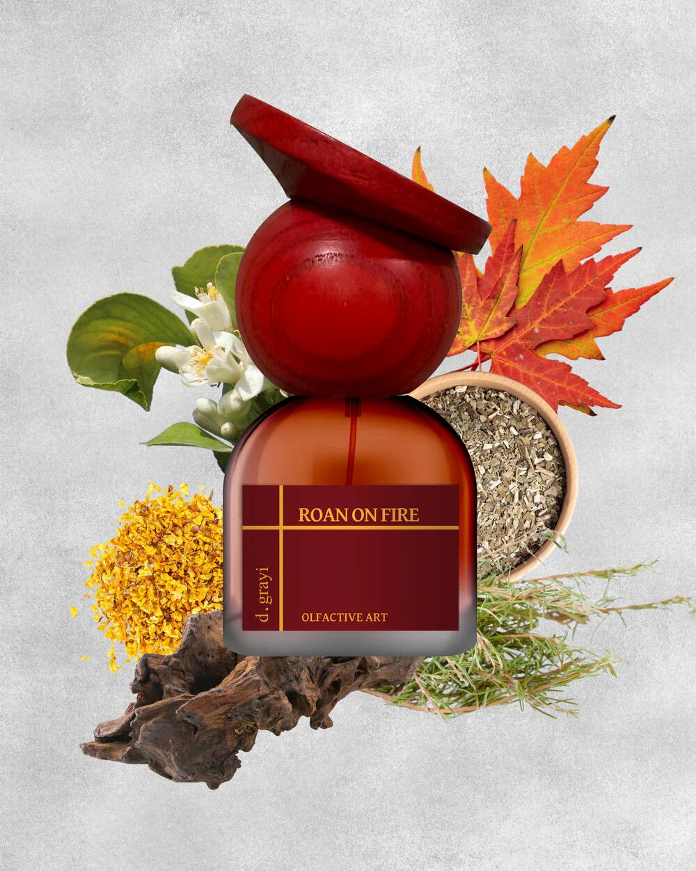 Roan on Fire d.grayi perfume - a new fragrance for women and men 2026