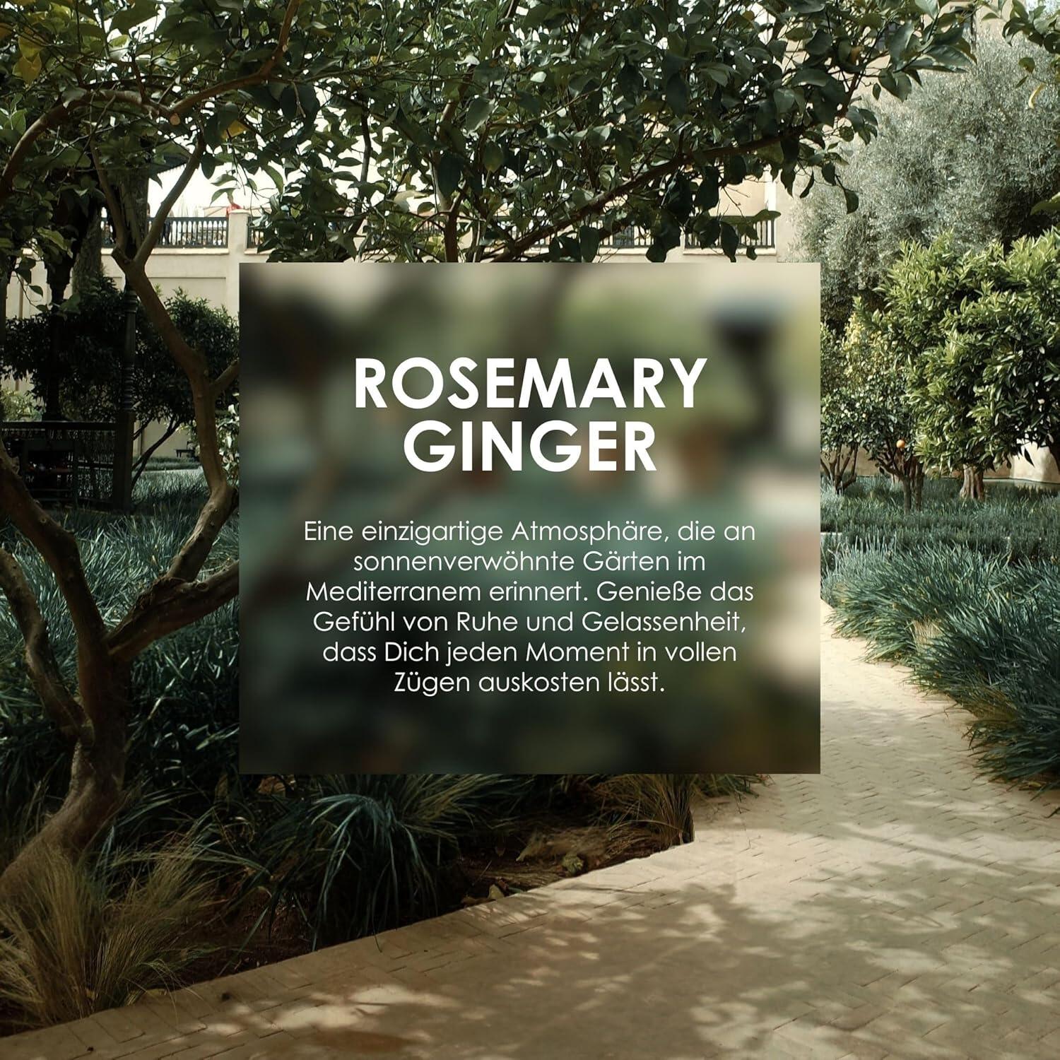 Rosemary Ginger Jean & Len בושם - הינו ניחוח 2023 לנשים וגברים