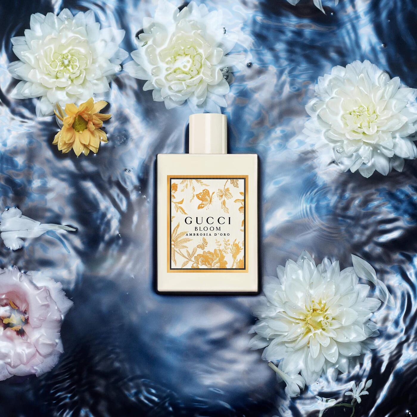 Bloom Ambrosia d'Oro Gucci perfume - a new fragrance for women 2026