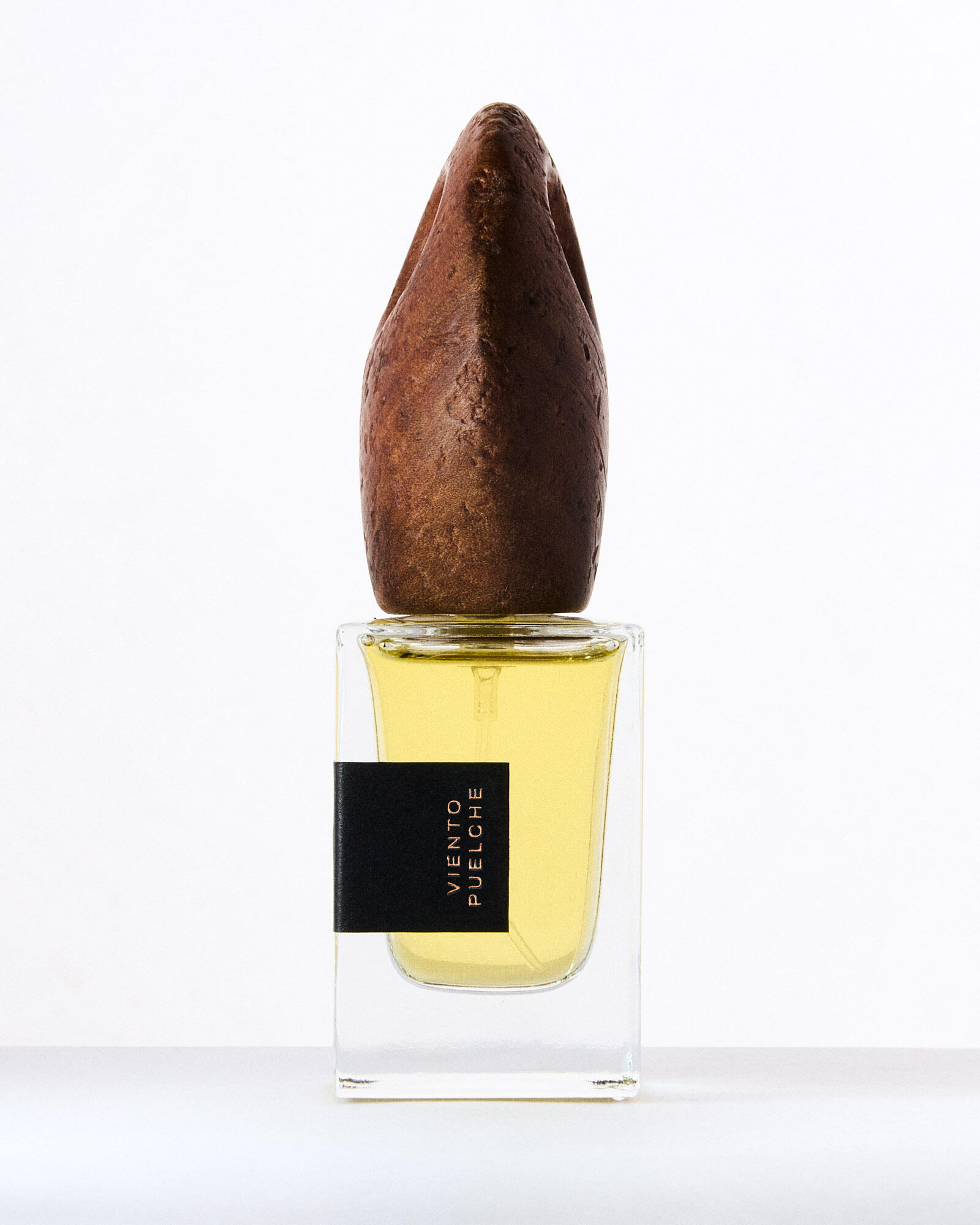 Viento Puelche 432 Wild Botanic Perfumes perfume - a new fragrance for ...